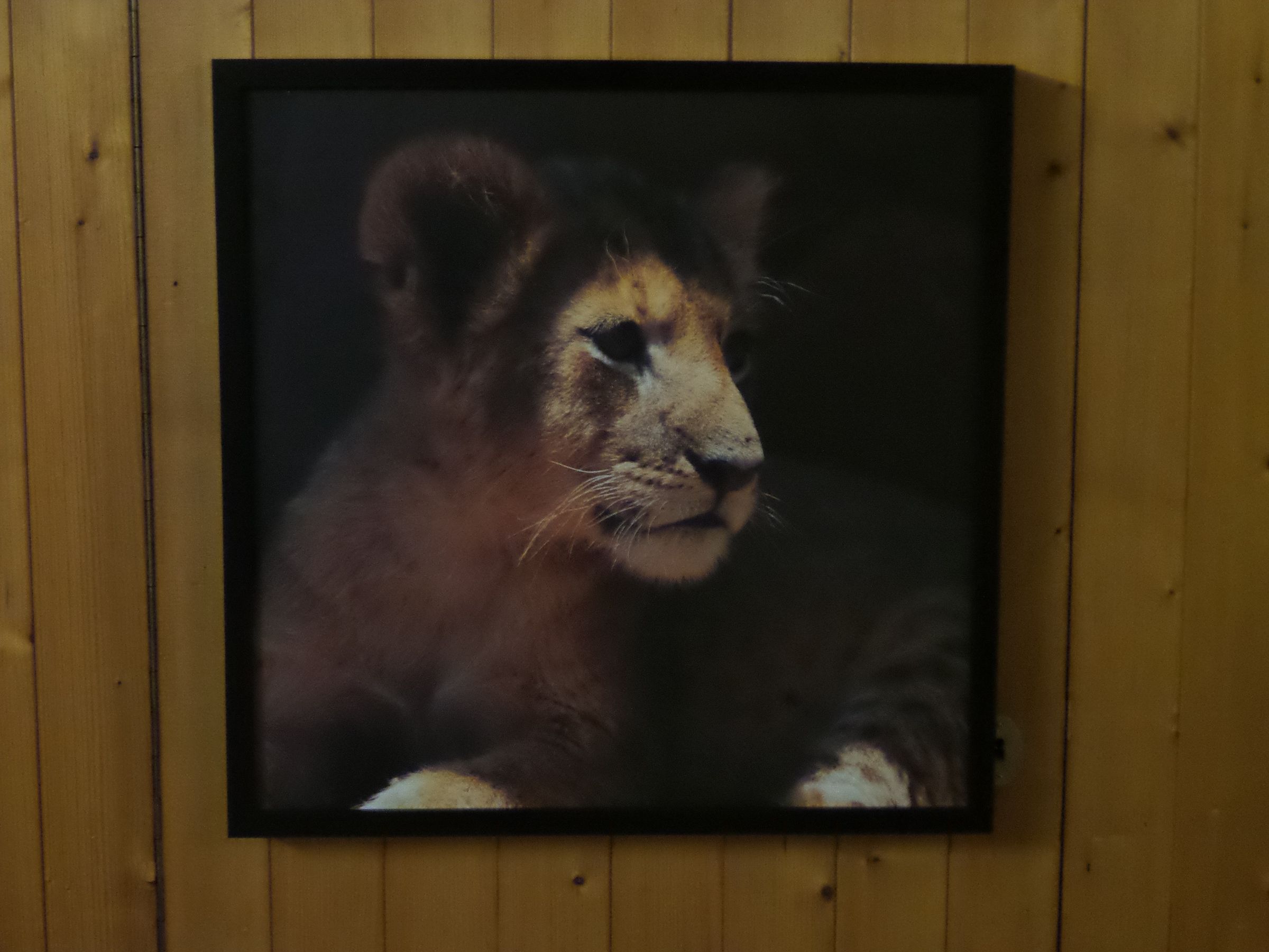 Backlit Frame Lightbox : 4 Steps - Instructables