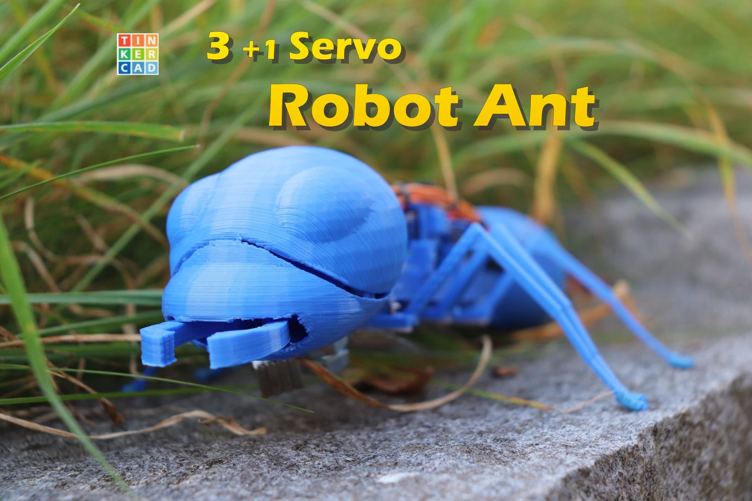 Blue Robot Ant : 8 Steps (with Pictures) - Instructables