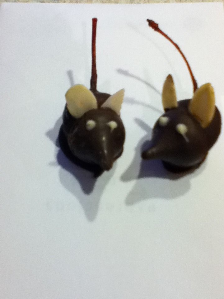 Chocolate Mice - Instructables