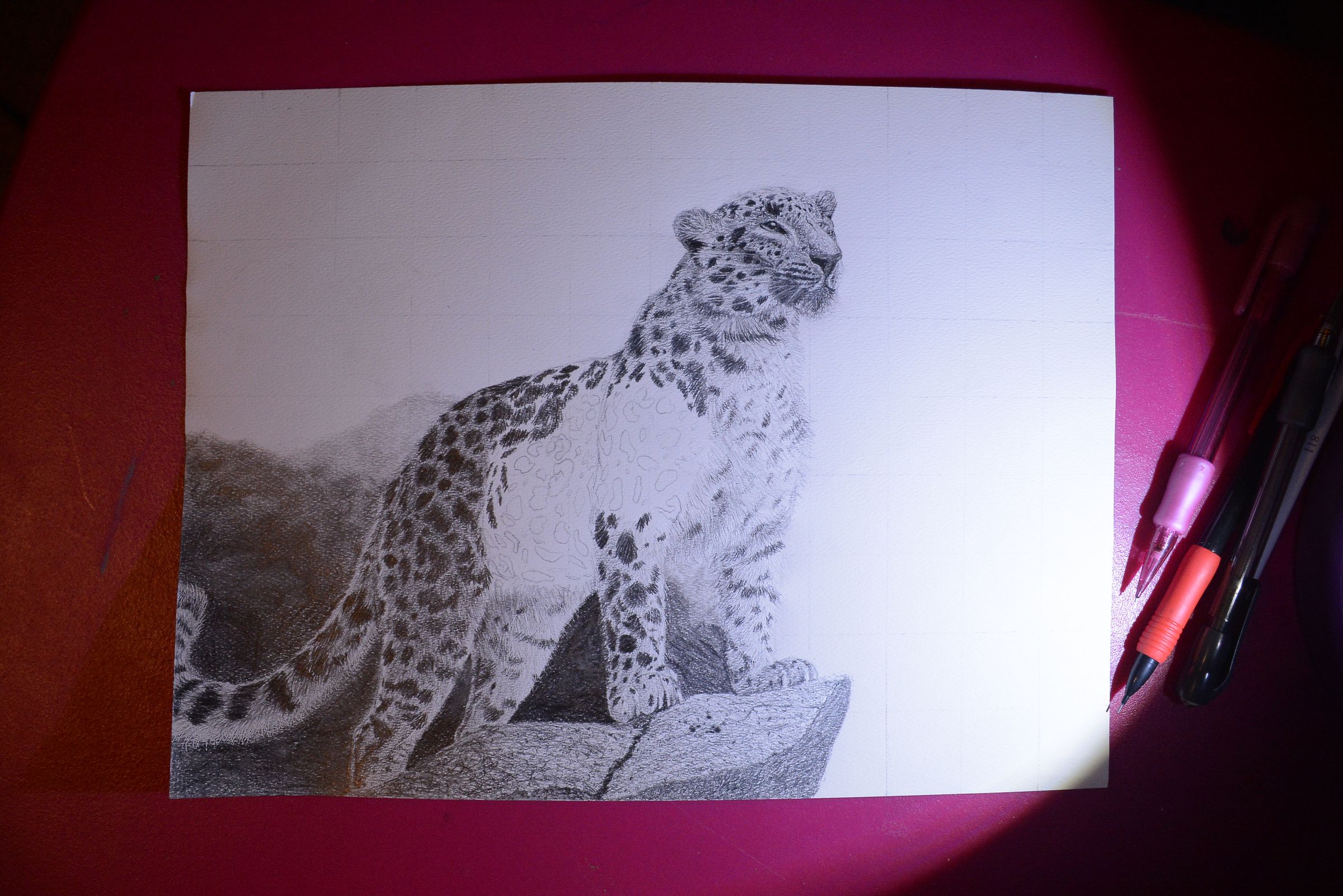 How to Draw an Amur Leopard on Pastel Paper : 5 Steps - Instructables