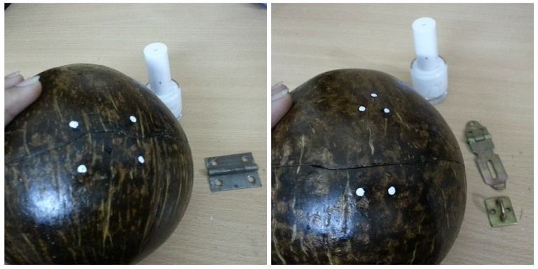 Coconut Shells Jewellery Box