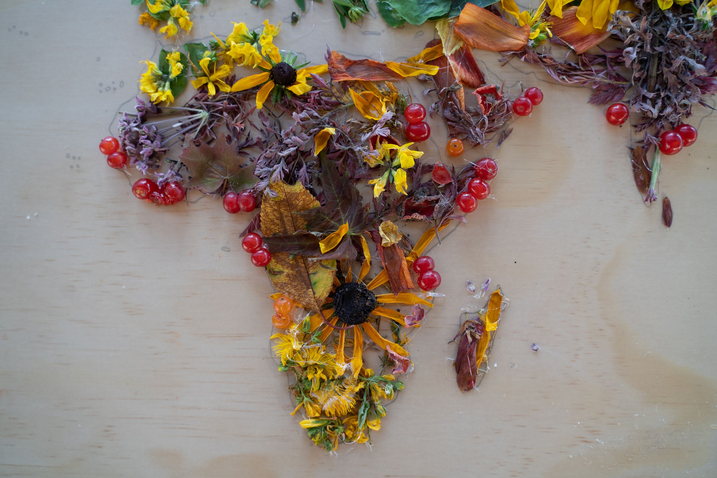 Creating a Map With Flowers + Constructing Your Own Artistic Style : 5 ...