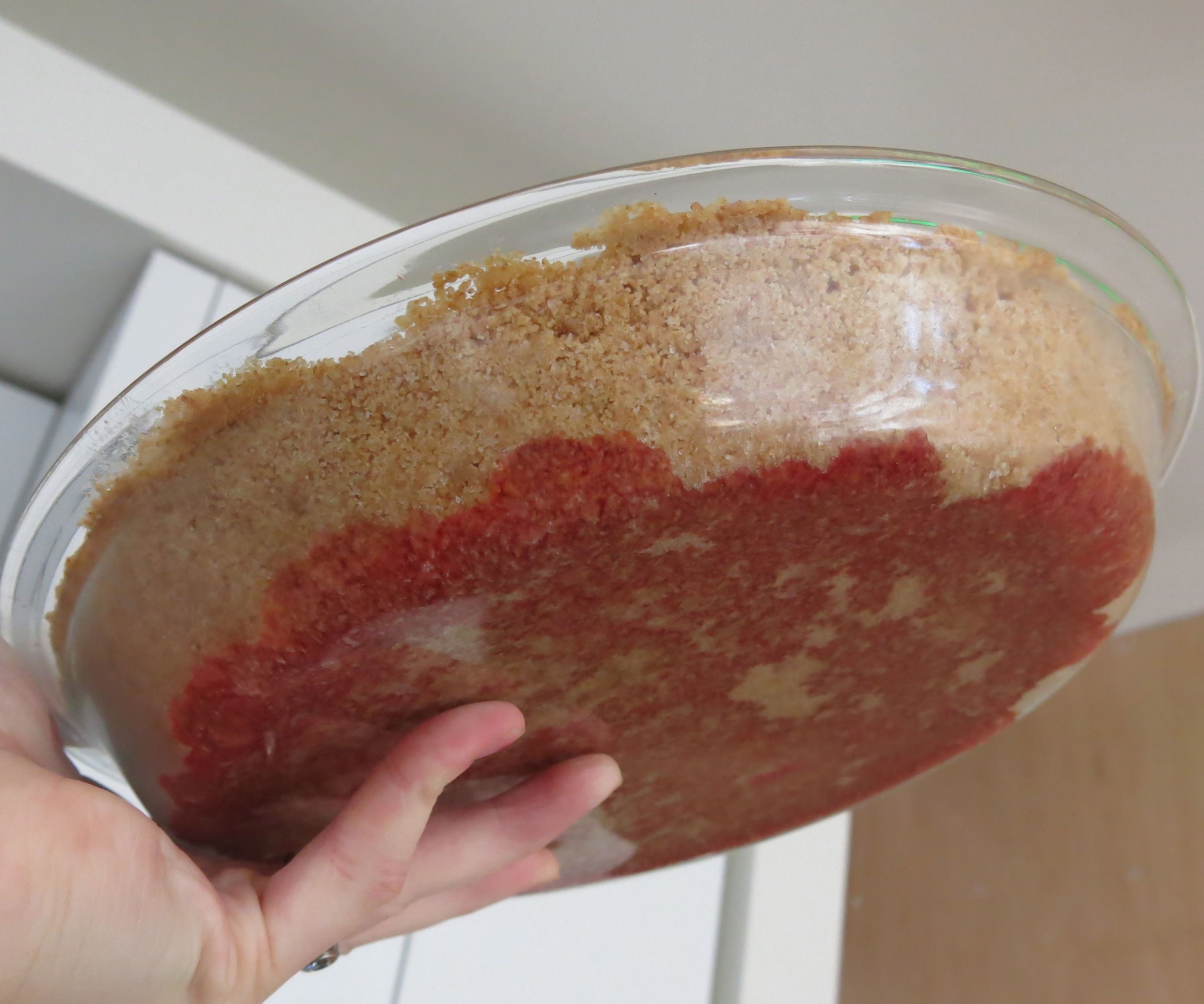 Raspberry Jello Pie : 7 Steps (with Pictures) - Instructables