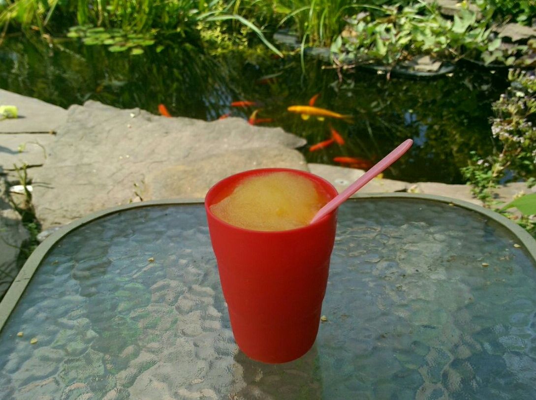 How to Make; Water Ice : 5 Steps - Instructables