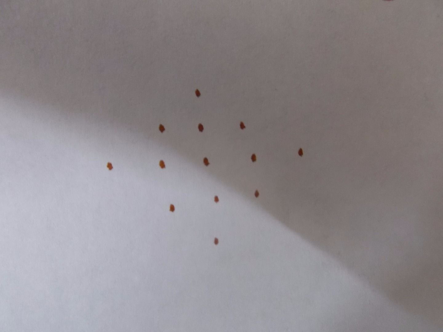 Kambi Kolam : 9 Steps - Instructables