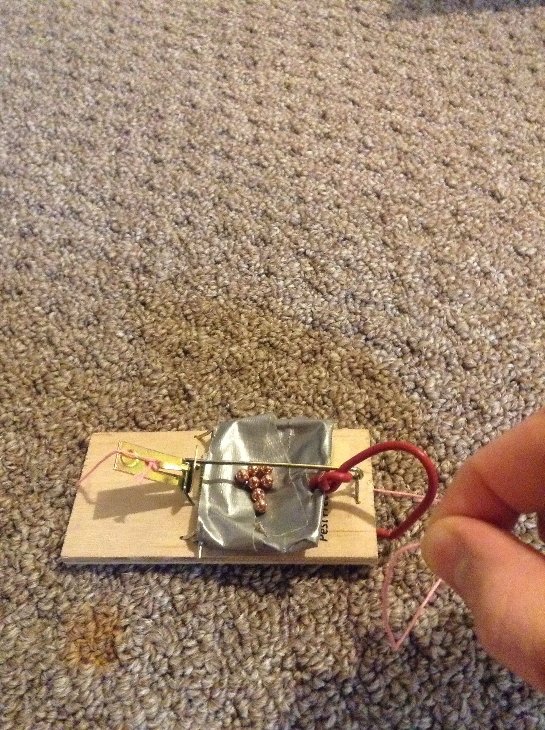 Catapult Mouse Trap : 5 Steps - Instructables