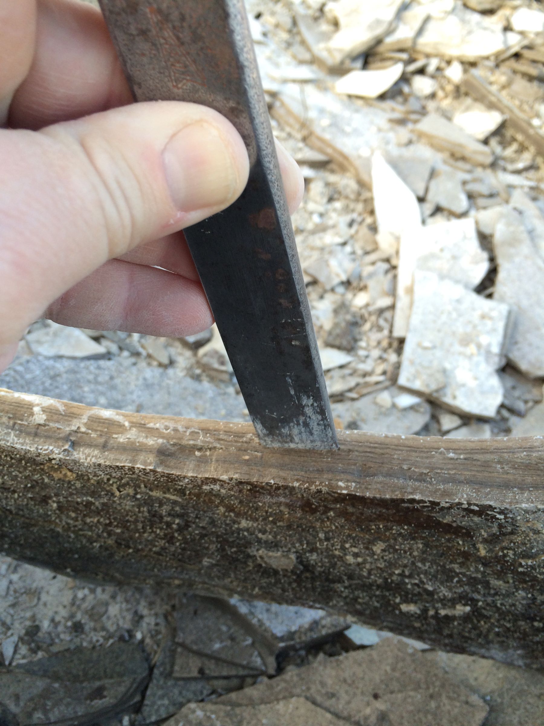 Split Limestone to Find Fossils!! : 4 Steps (with Pictures) - Instructables