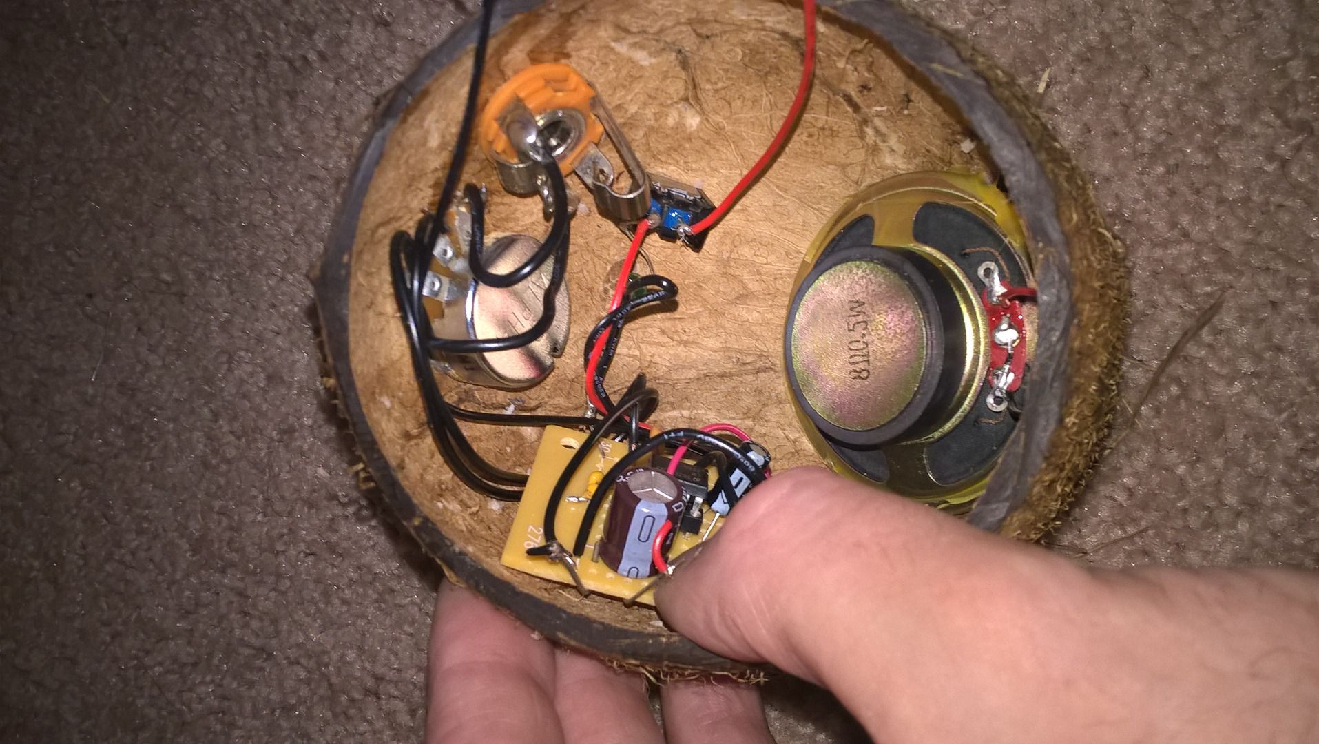 Coconut Amplifier : 6 Steps (with Pictures) - Instructables