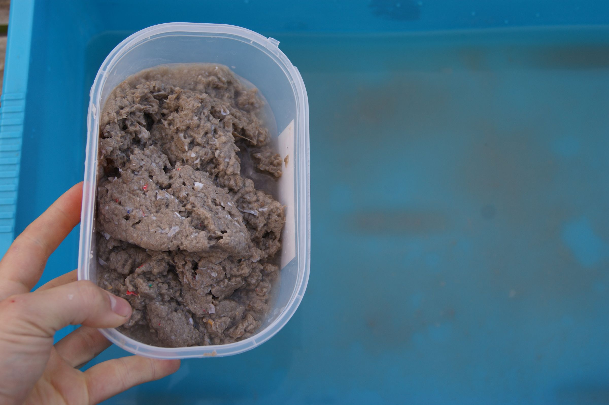 Make Beautiful Paper From Waste Cardboard : 8 Steps (with Pictures ...