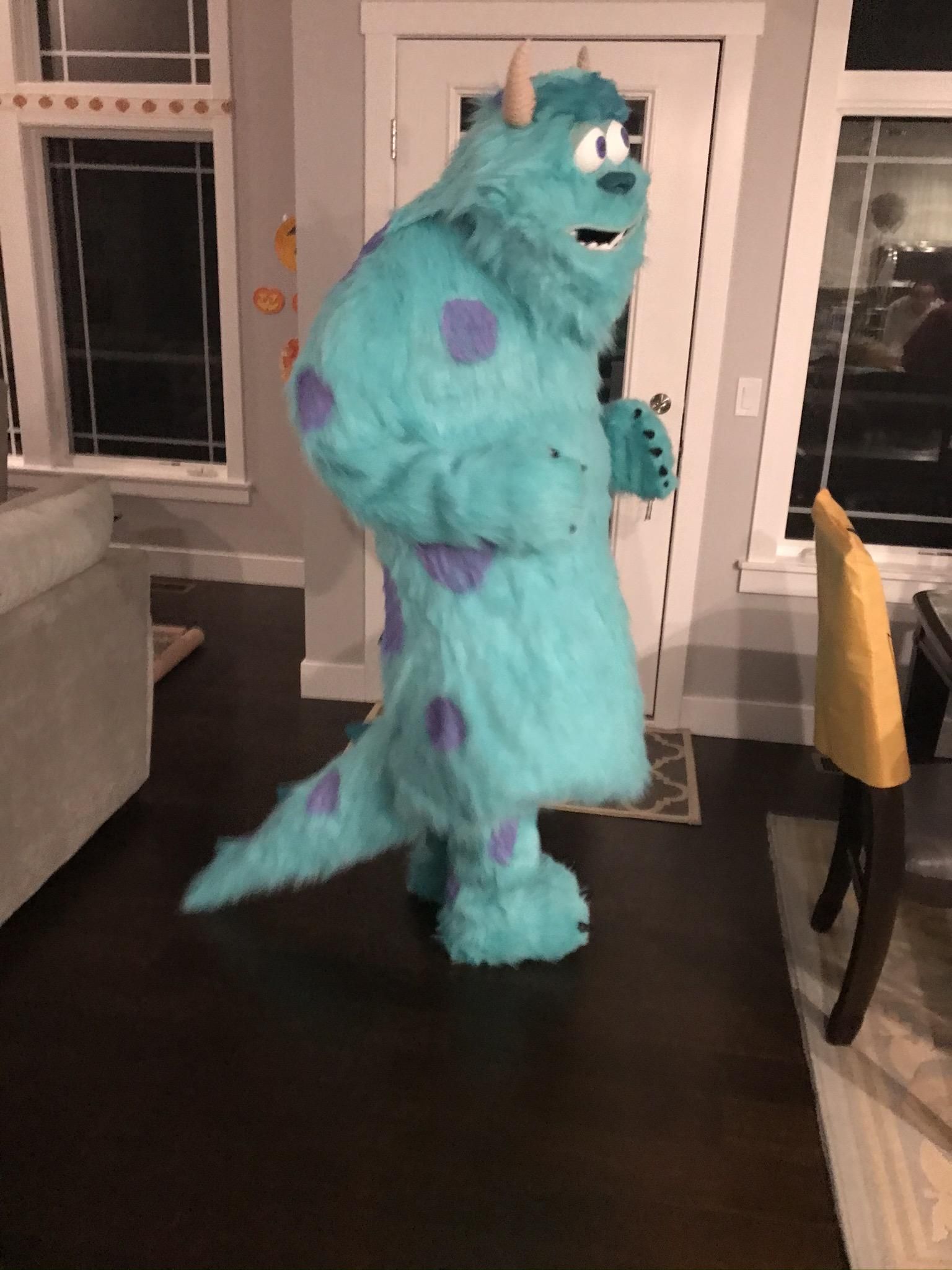Sulley (Trademark Disney) Monster Homemade Halloween Costume : 11 Steps ...