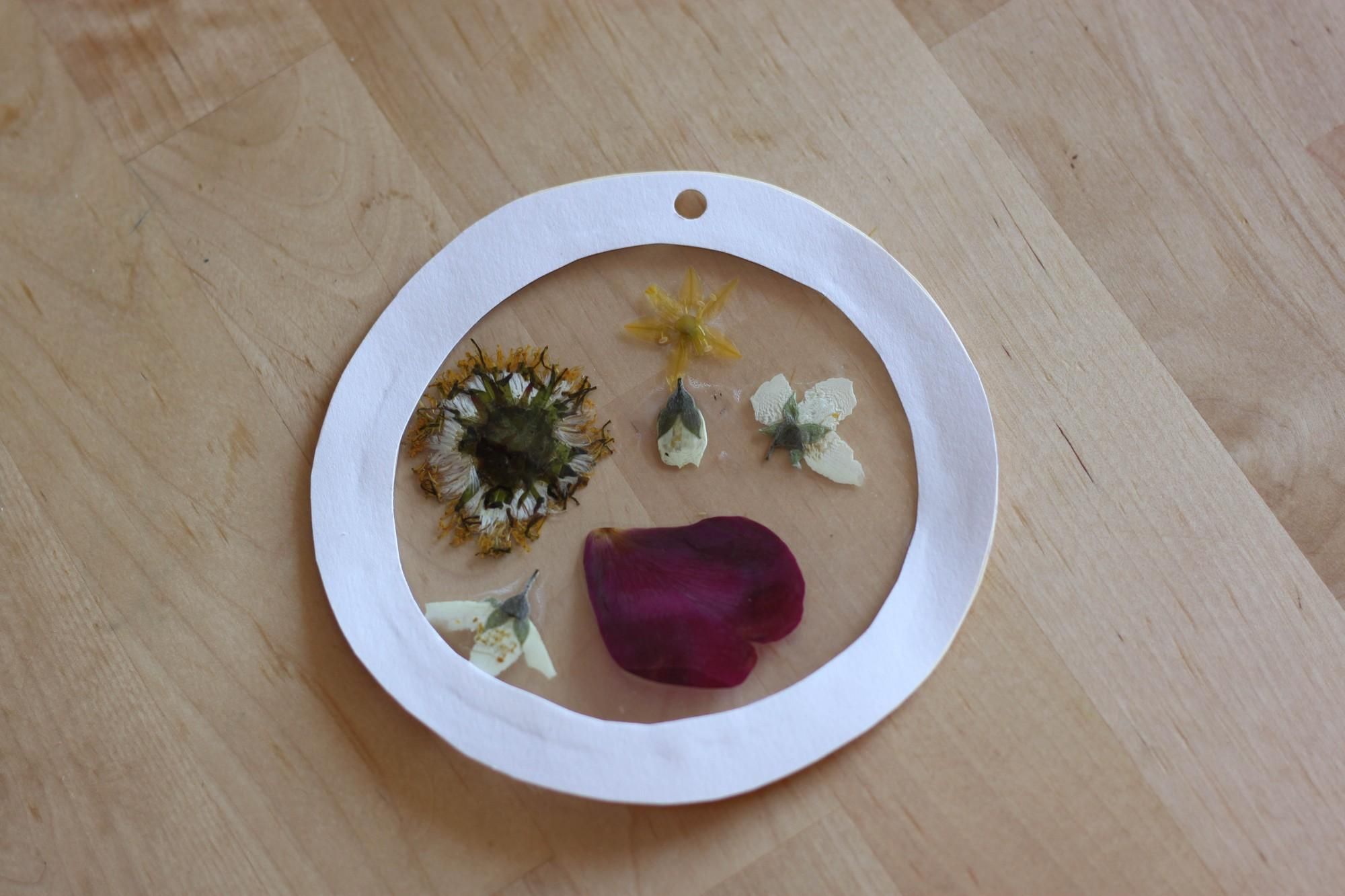 Flower Sun Catcher : 5 Steps (with Pictures) - Instructables