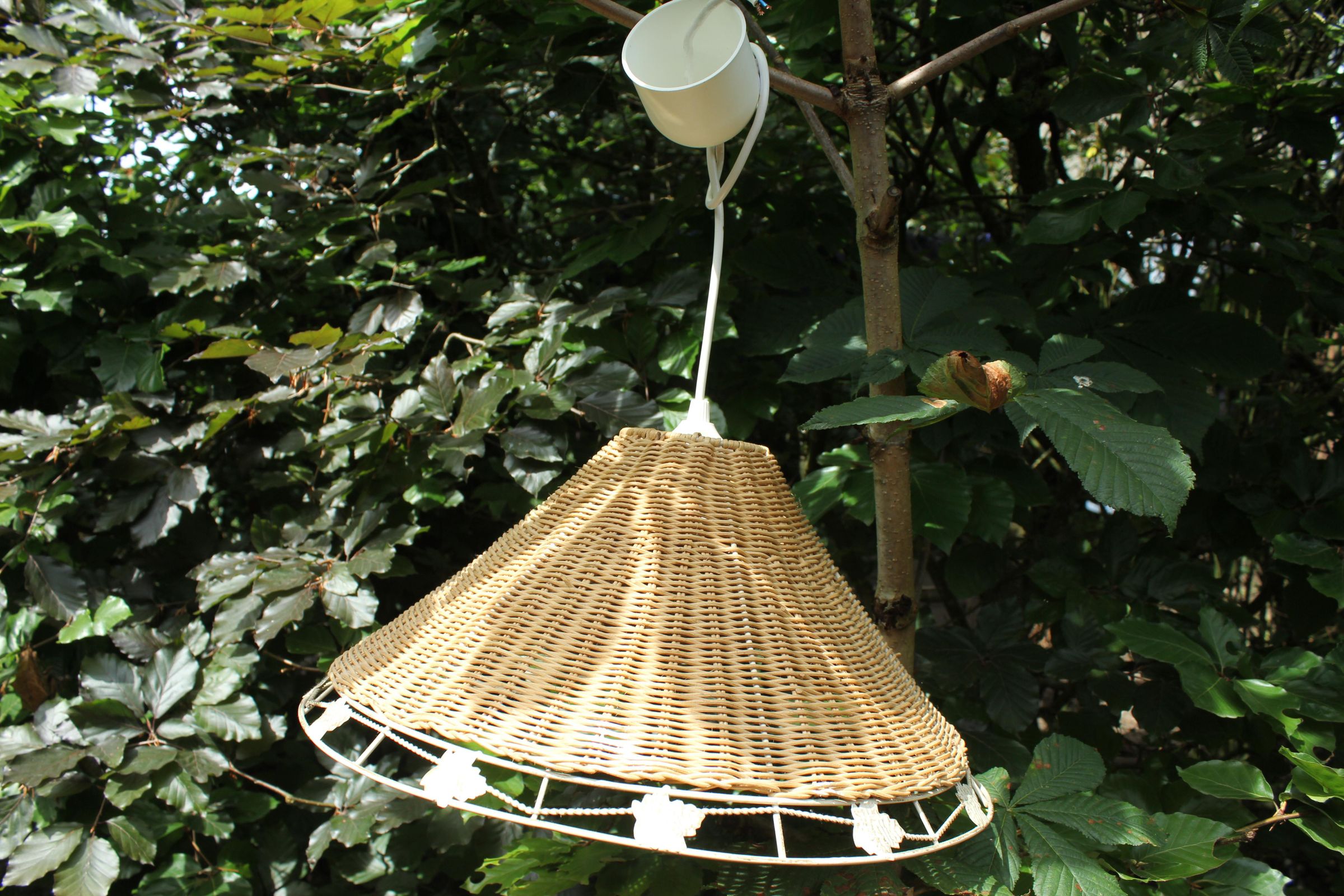 Lampshade to Planter Conversion : 6 Steps (with Pictures) - Instructables