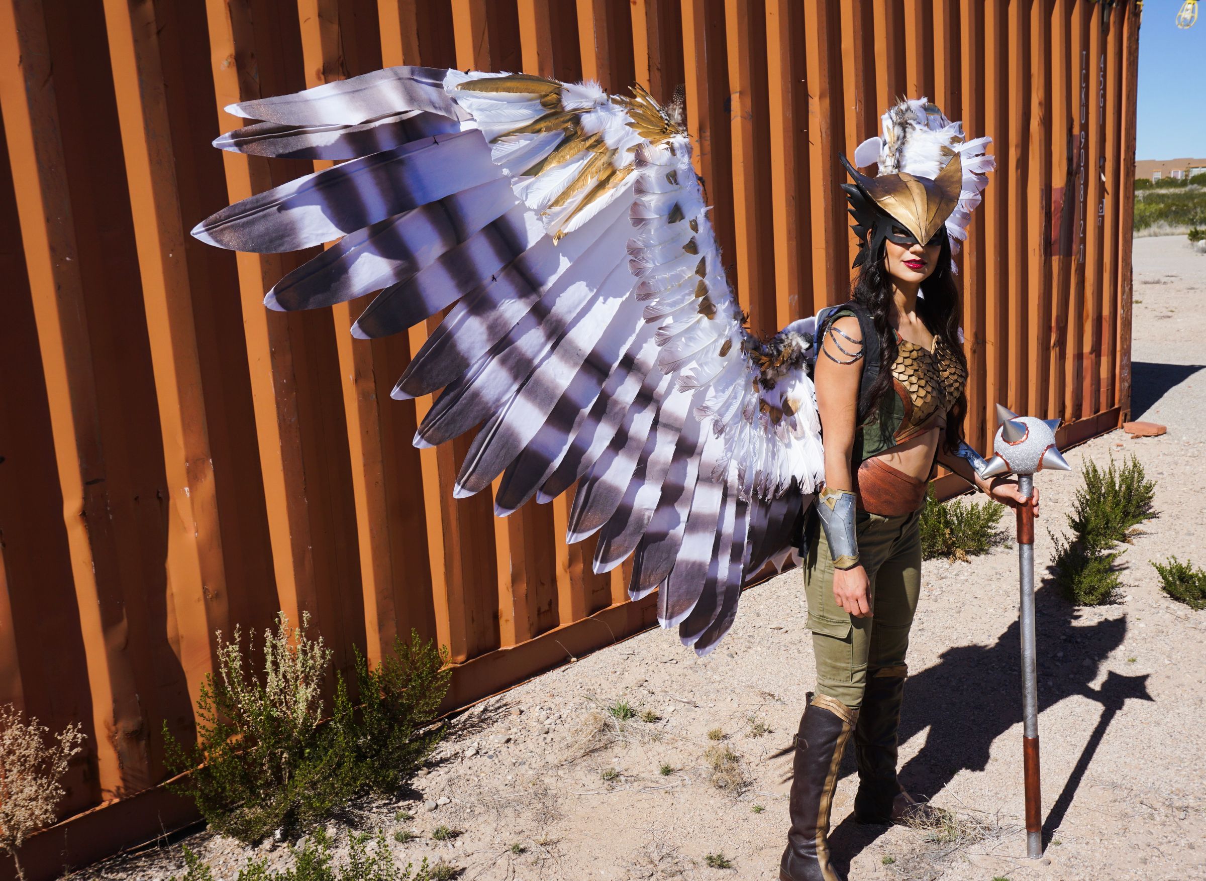 Hawkgirl Costume : 5 Steps (with Pictures) - Instructables