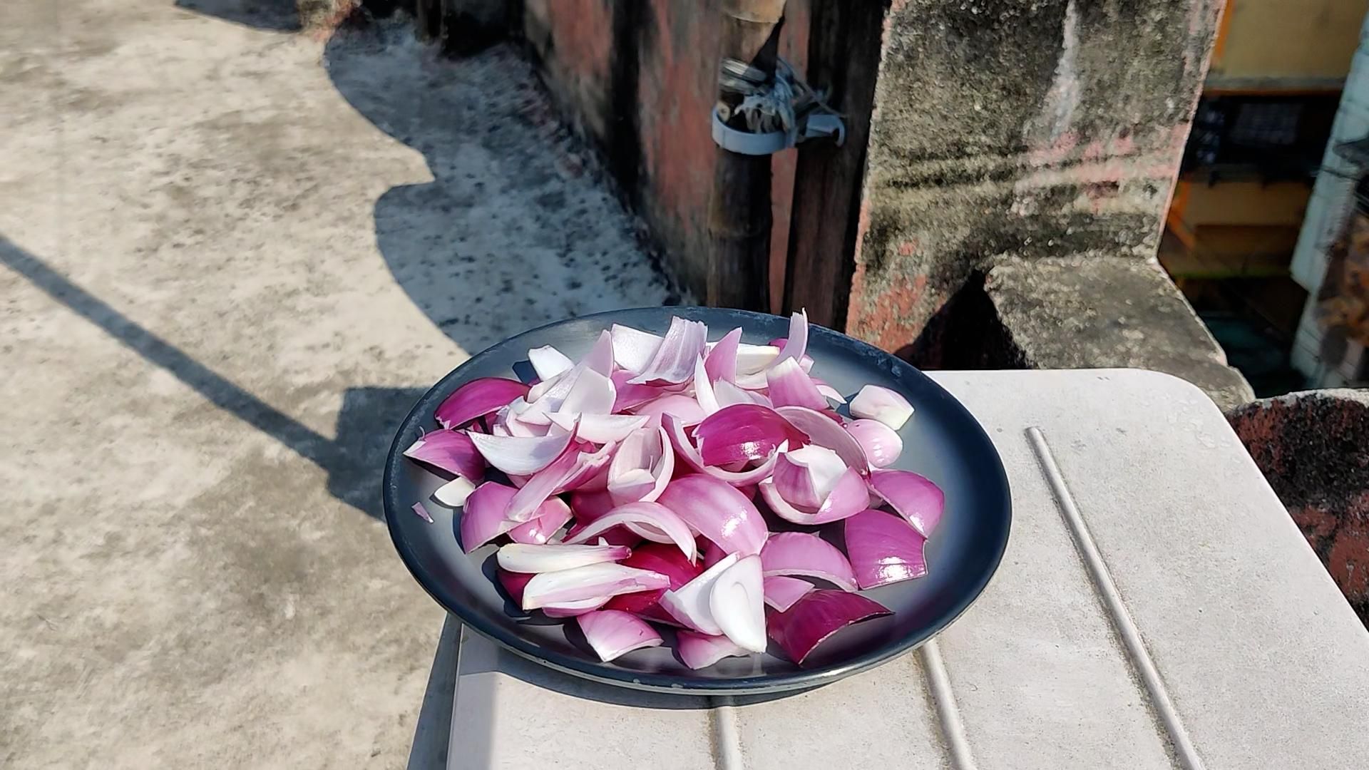Solar Powered Food Dryer - How to Make a Sustainable Way to Preserve ...