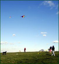 Some Kiting Basics : 7 Steps (with Pictures) - Instructables
