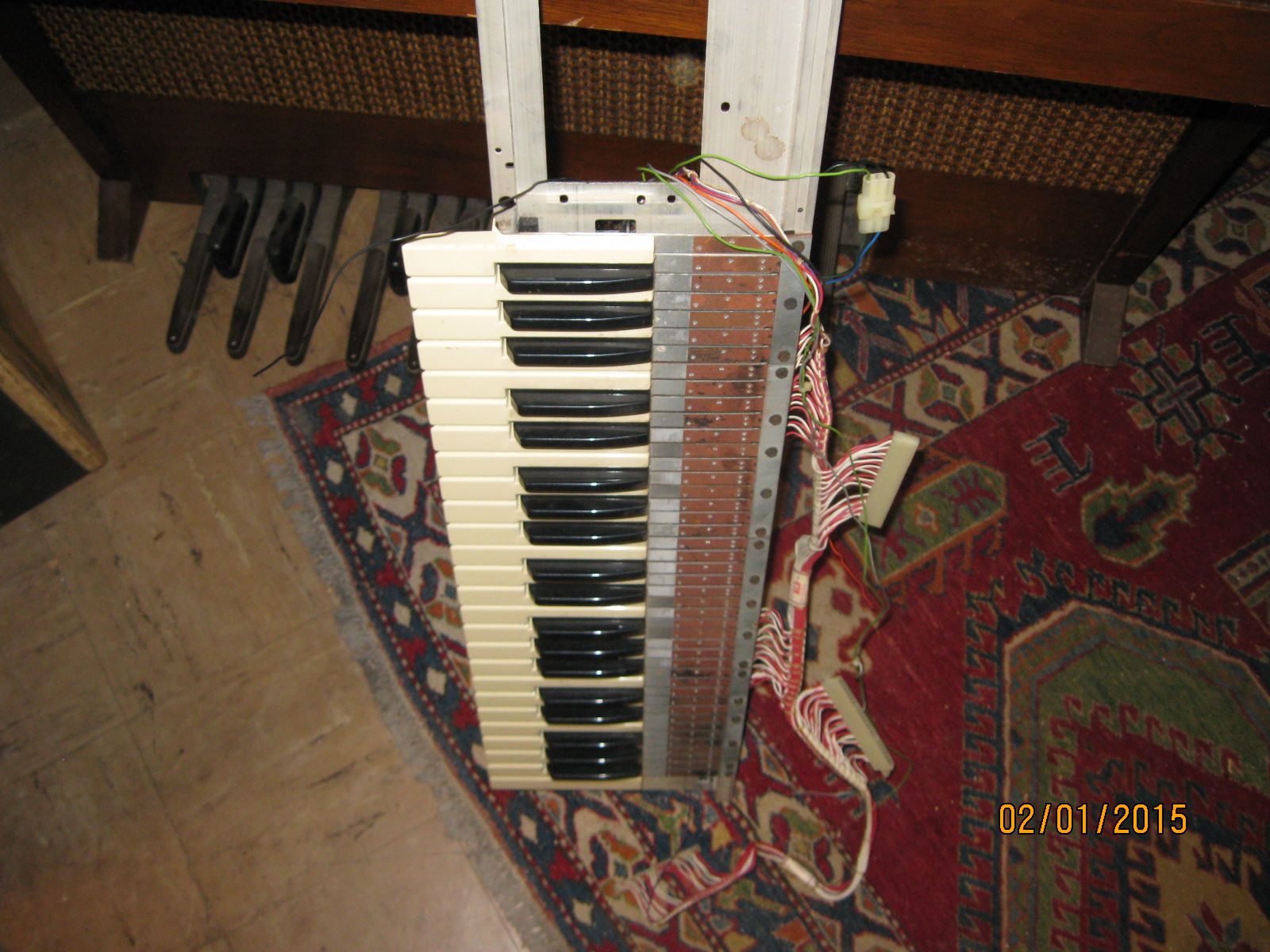 The Organ Donor Project- the Dissection : 5 Steps - Instructables