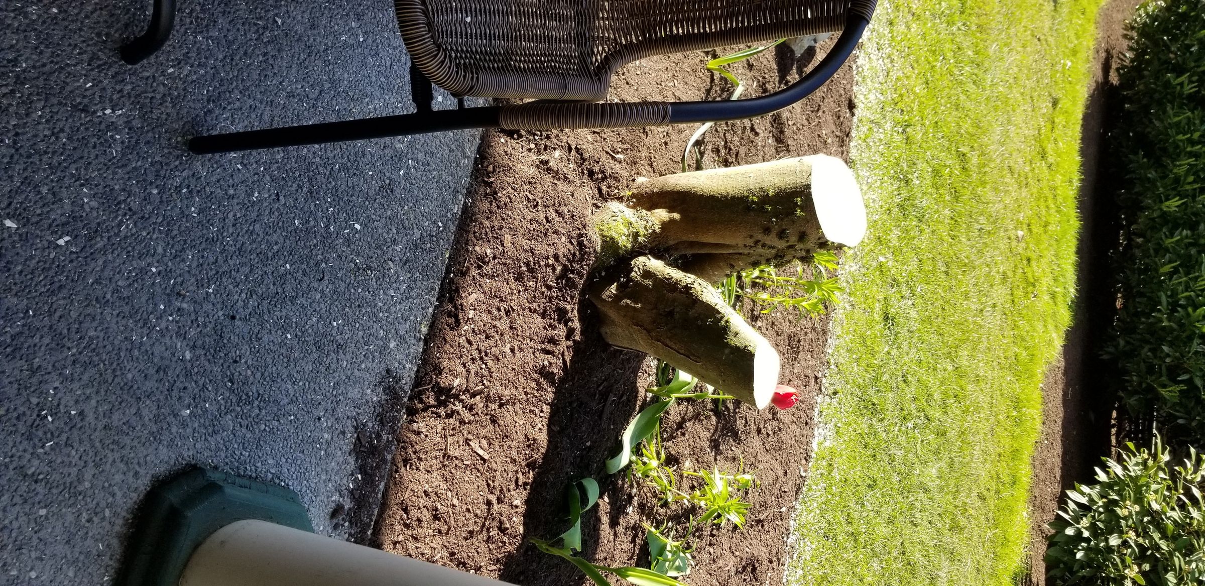 Gnome Tree Stump Home : 3 Steps - Instructables