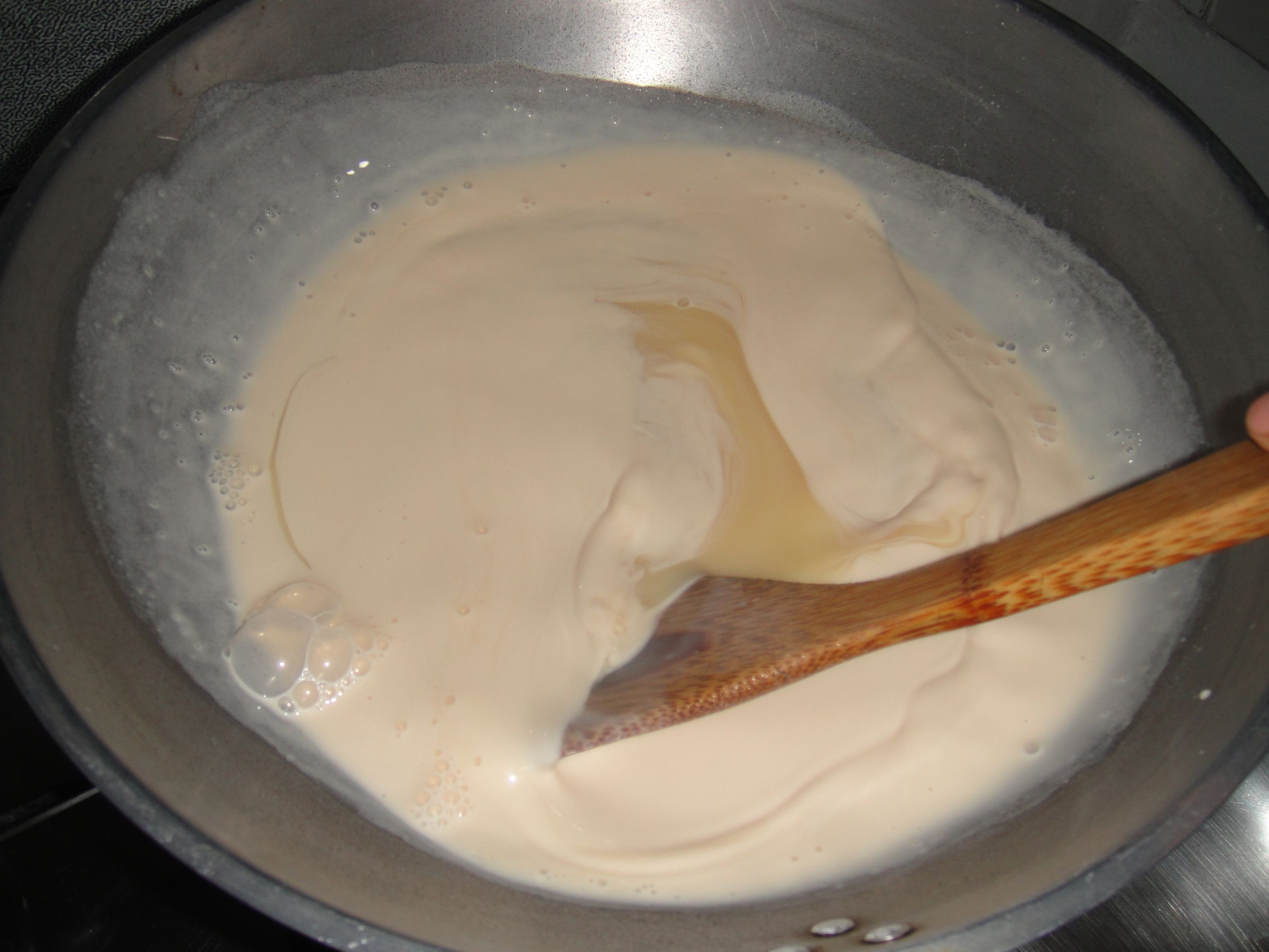 Pastillas De Leche (Philippine Soft Milk Candy) : 11 Steps (with ...