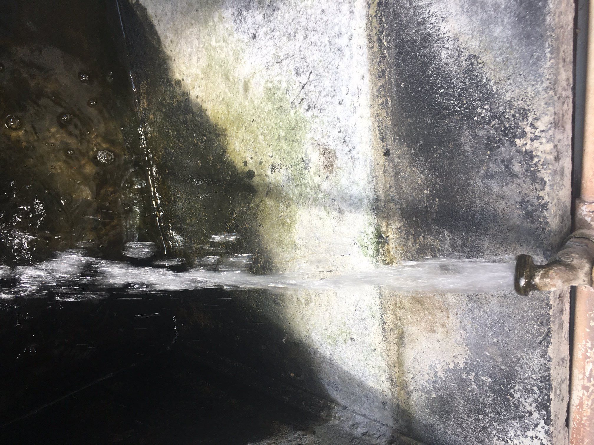 How to Properly Clean Minnow Tanks : 10 Steps (with Pictures ...