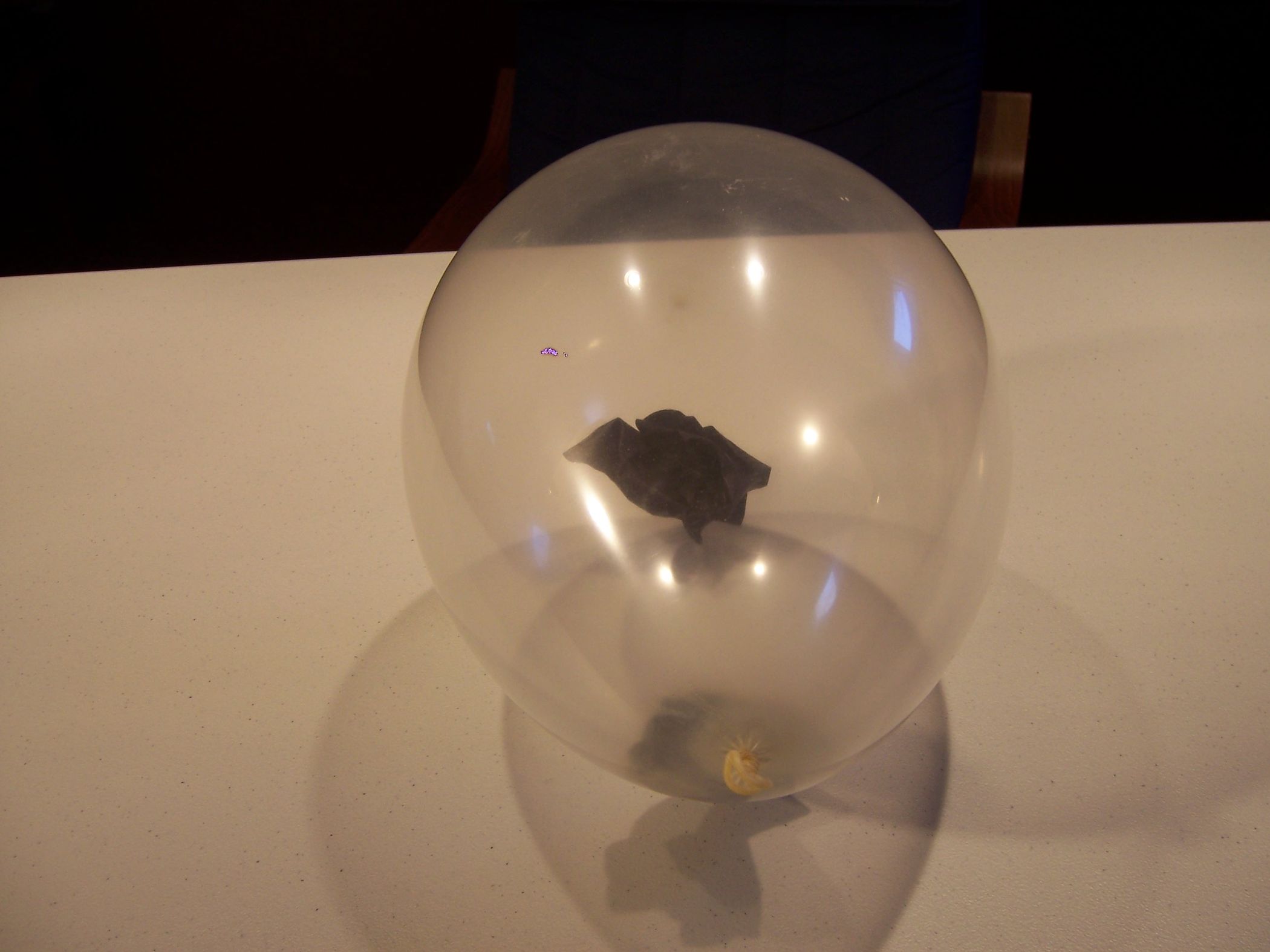 Black Balloon Burst With a Twist : 8 Steps - Instructables