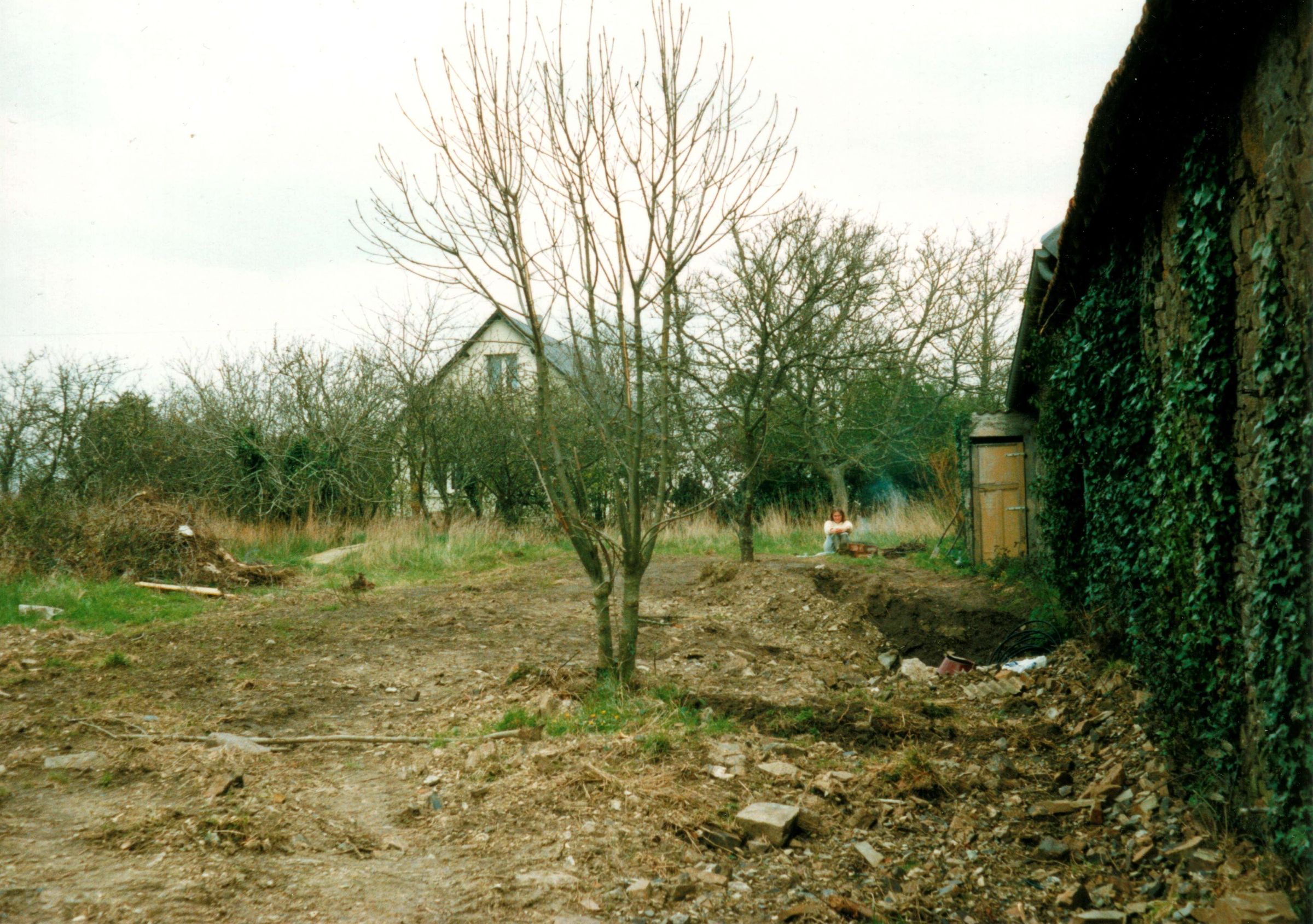 Greenhouse Extension - Making a Safe Living, Nesting & Brooding Area ...