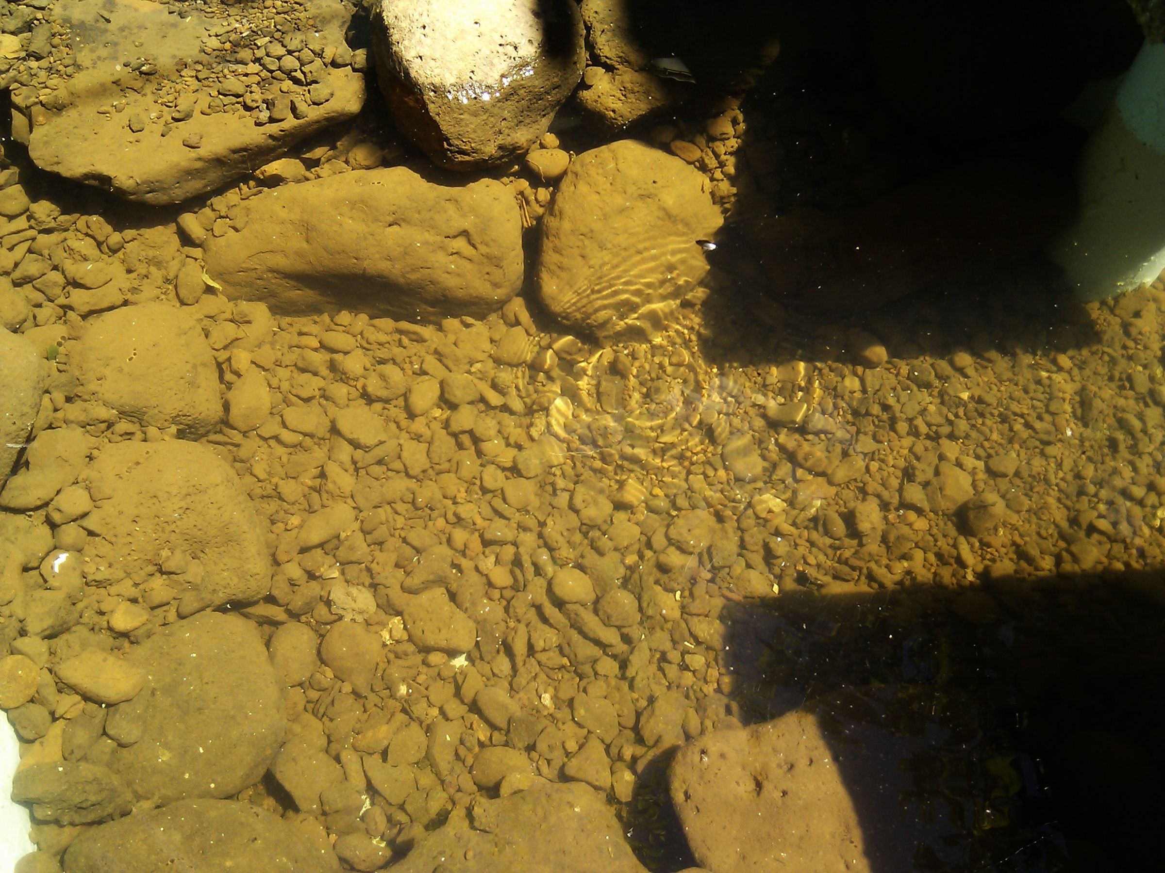 Concrete Pond : 9 Steps (with Pictures) - Instructables