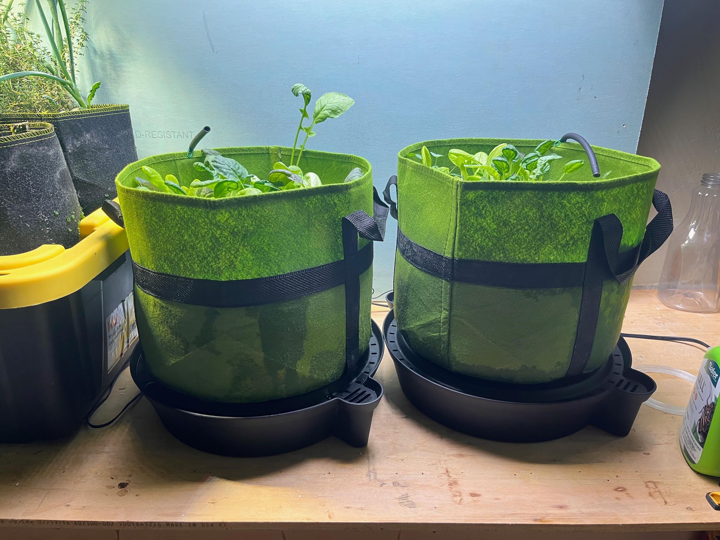 AC Inifinity Fabric Pot Base - Recirculating Hydroponic Upgrade : 11 ...