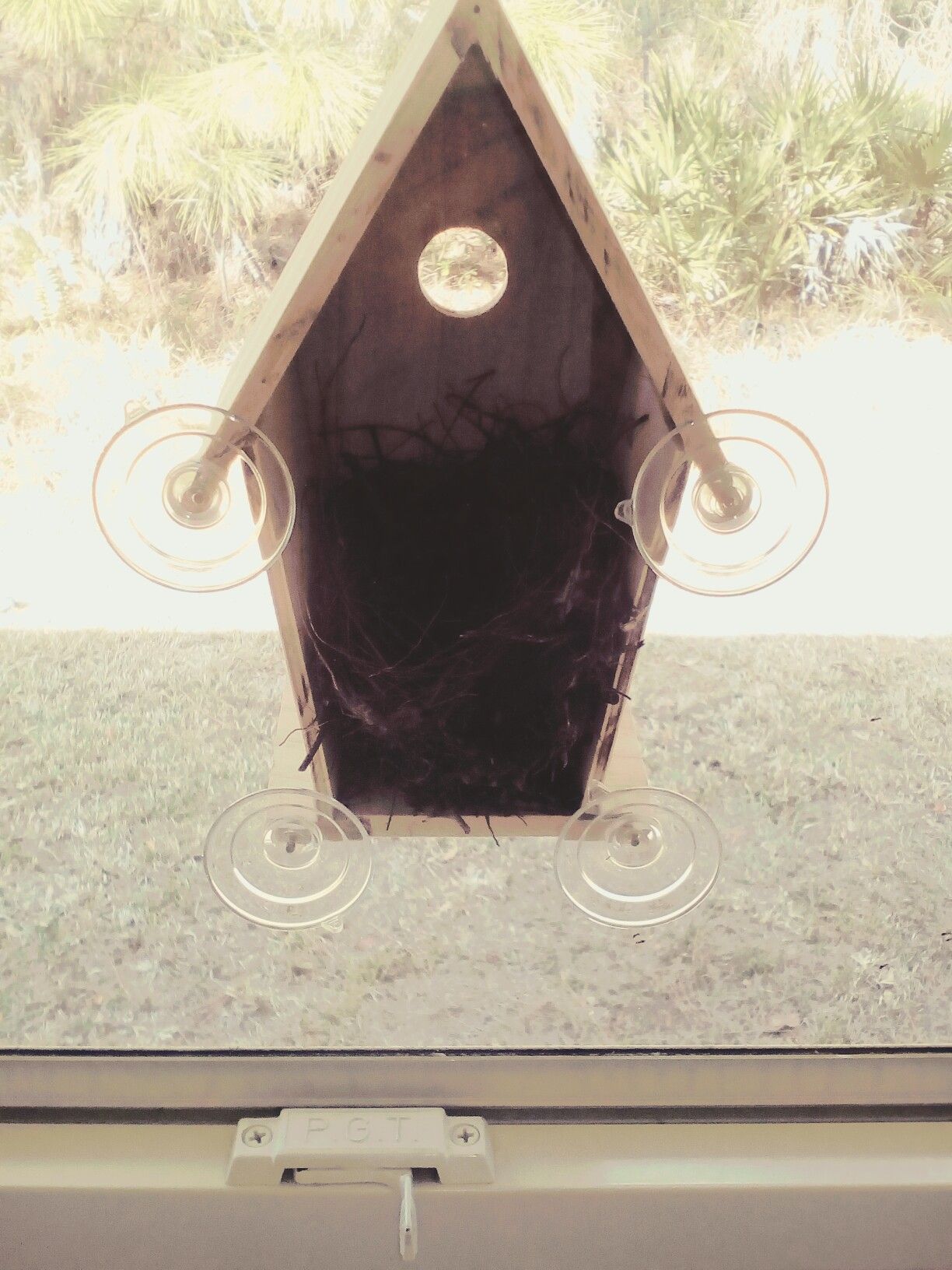 Observation Birdhouse : 4 Steps (with Pictures) - Instructables