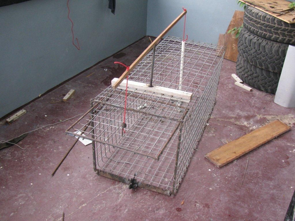 Home Made Live Trap Trigger