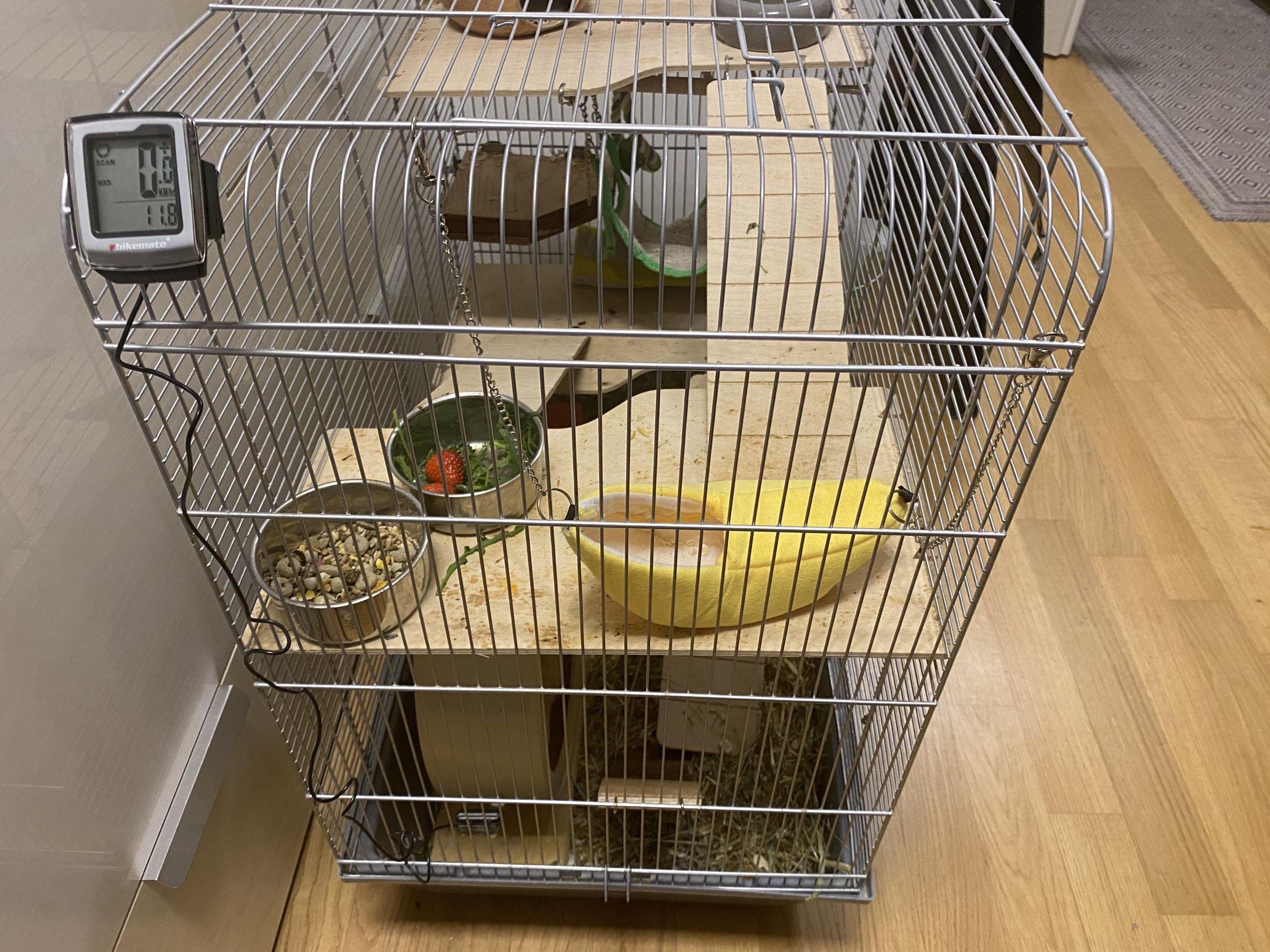 Hamster Wheel Tracker : 7 Steps - Instructables