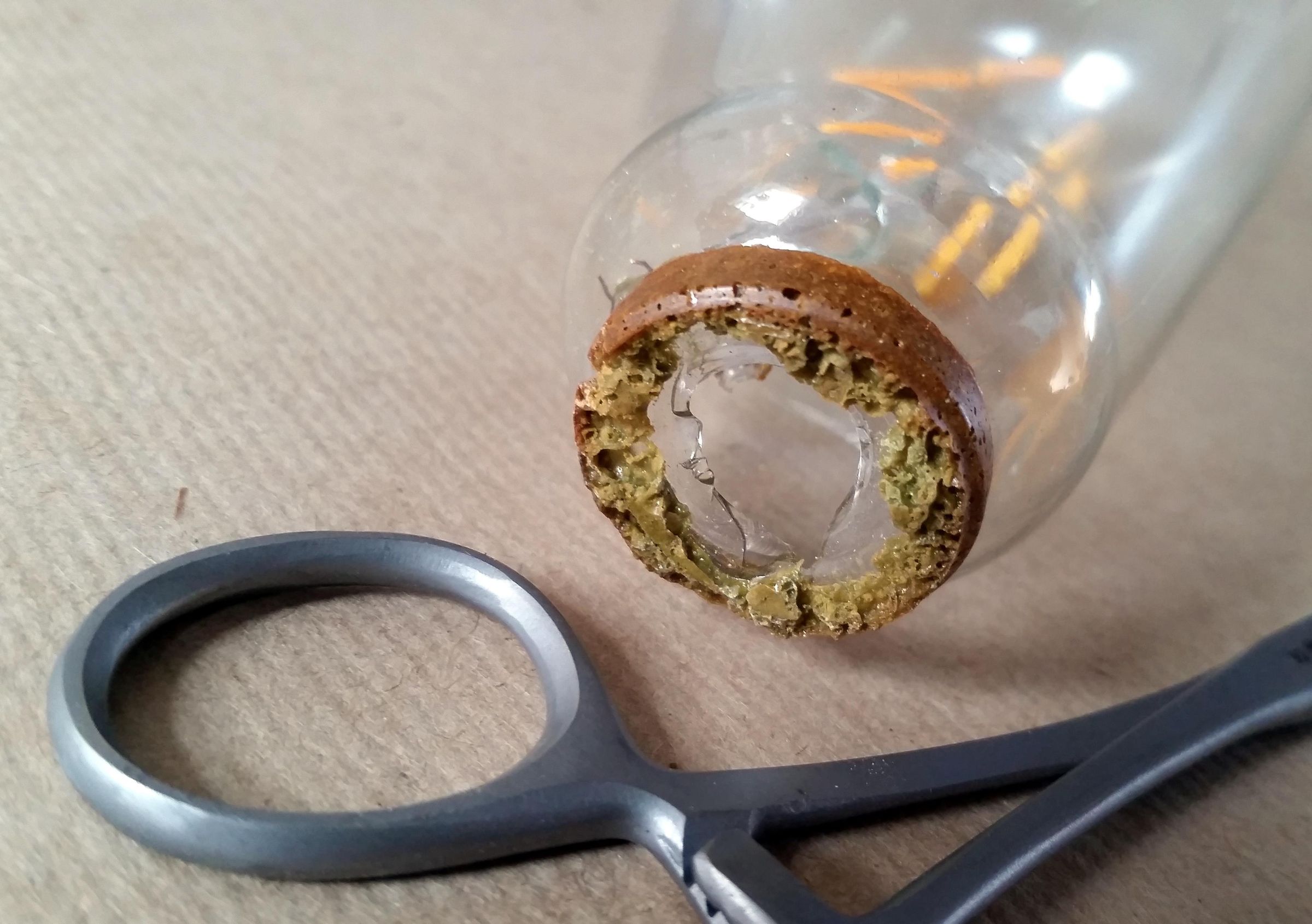 Water Propping Station From Light Bulbs : 8 Steps (with Pictures ...