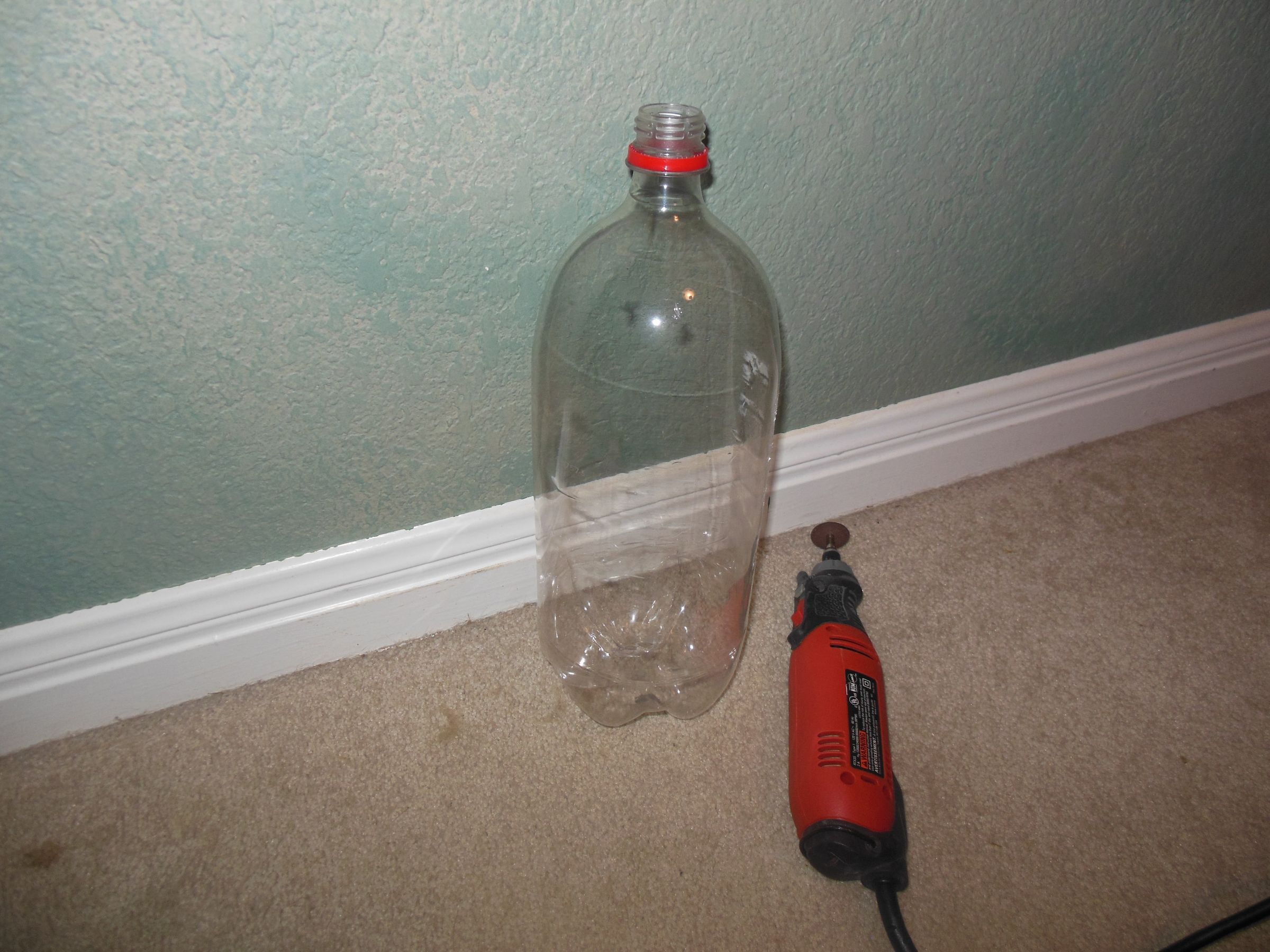 Stop Critters From Eating Sunflowers - Instructables