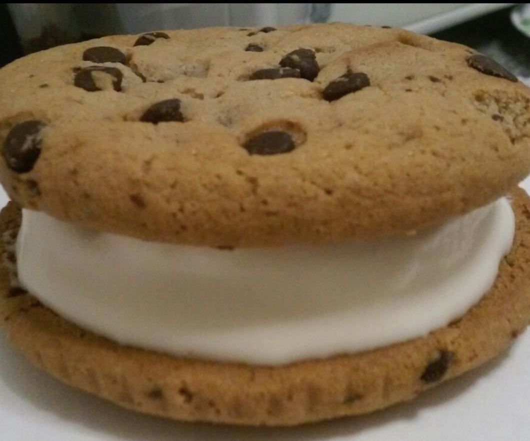 Cookies N Ice Cream 4 Steps Instructables cookies-n-ice-cream-4-steps-instructables