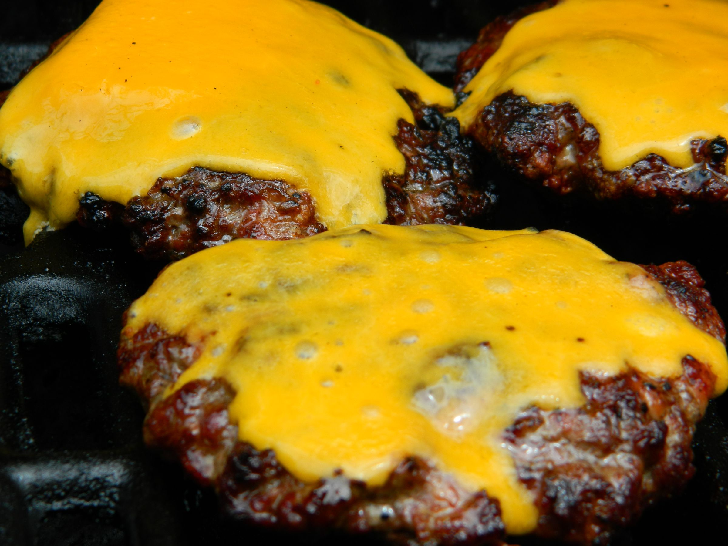 Cheeseburger Picnic : 6 Steps (with Pictures) - Instructables