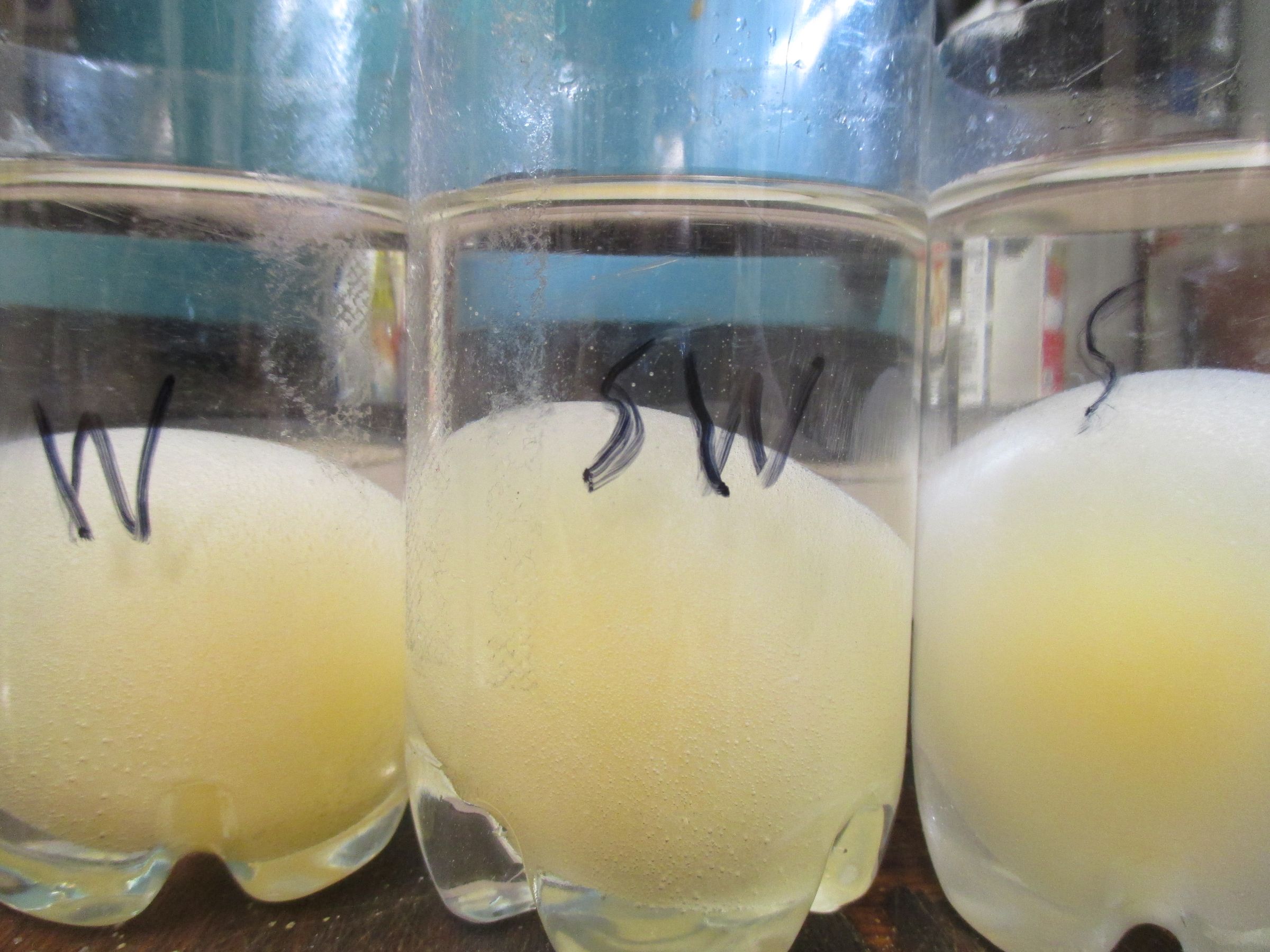 Easy Egg Chemistry : 8 Steps (with Pictures) - Instructables