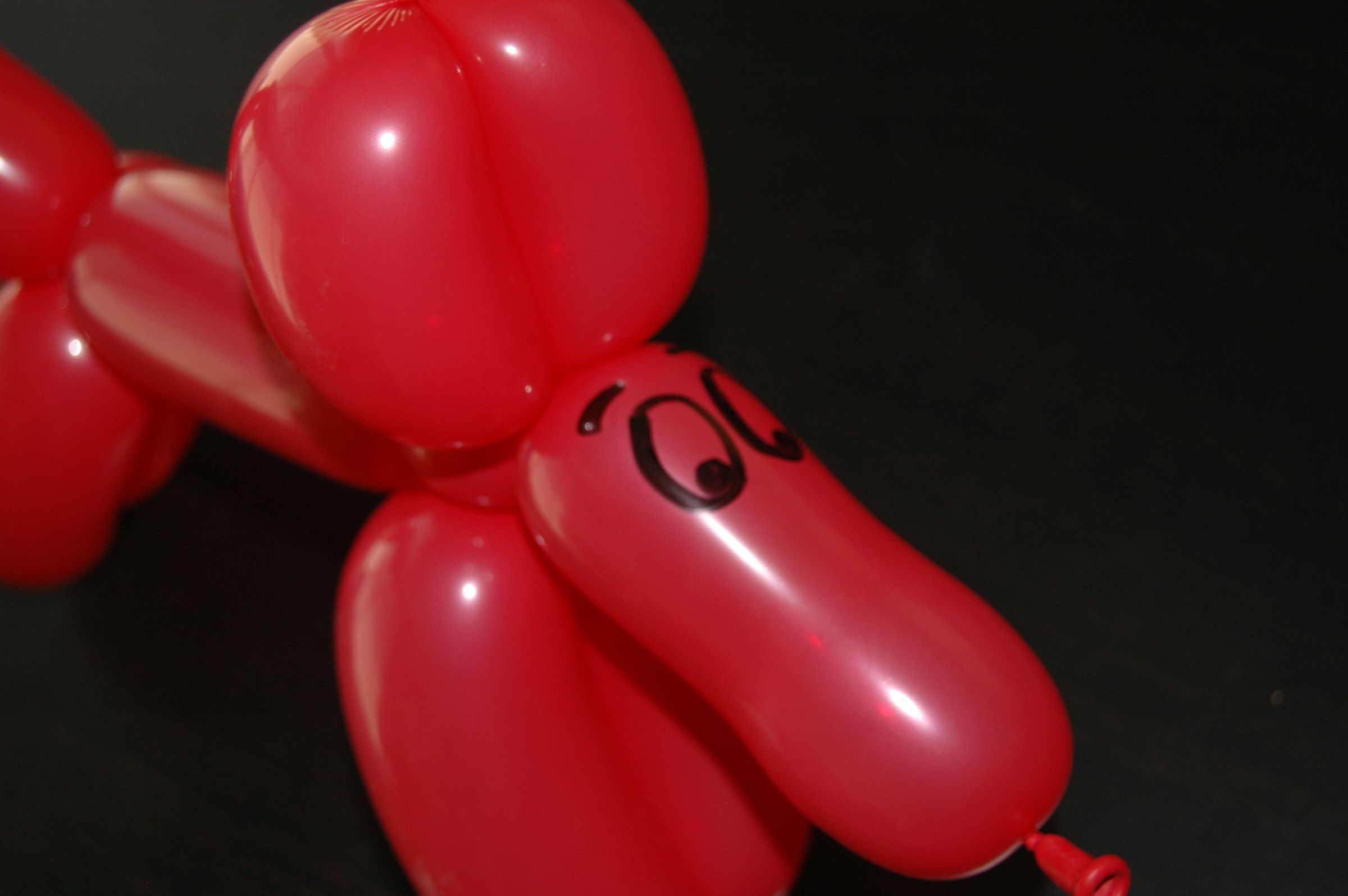 How to Balloon Twist : 19 Steps (with Pictures) - Instructables