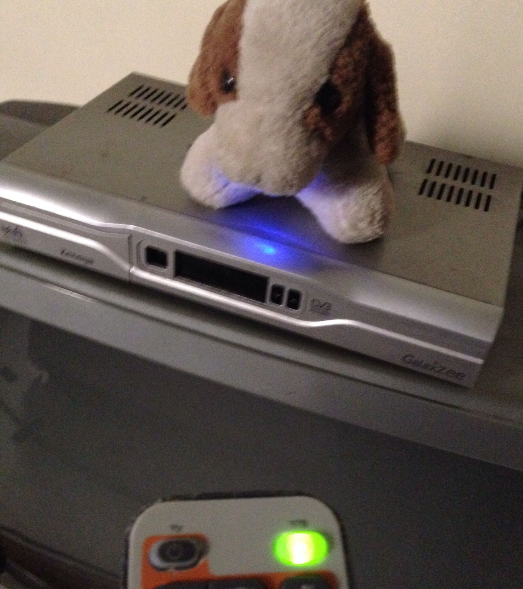 Infrared Dog Blinky : 3 Steps - Instructables