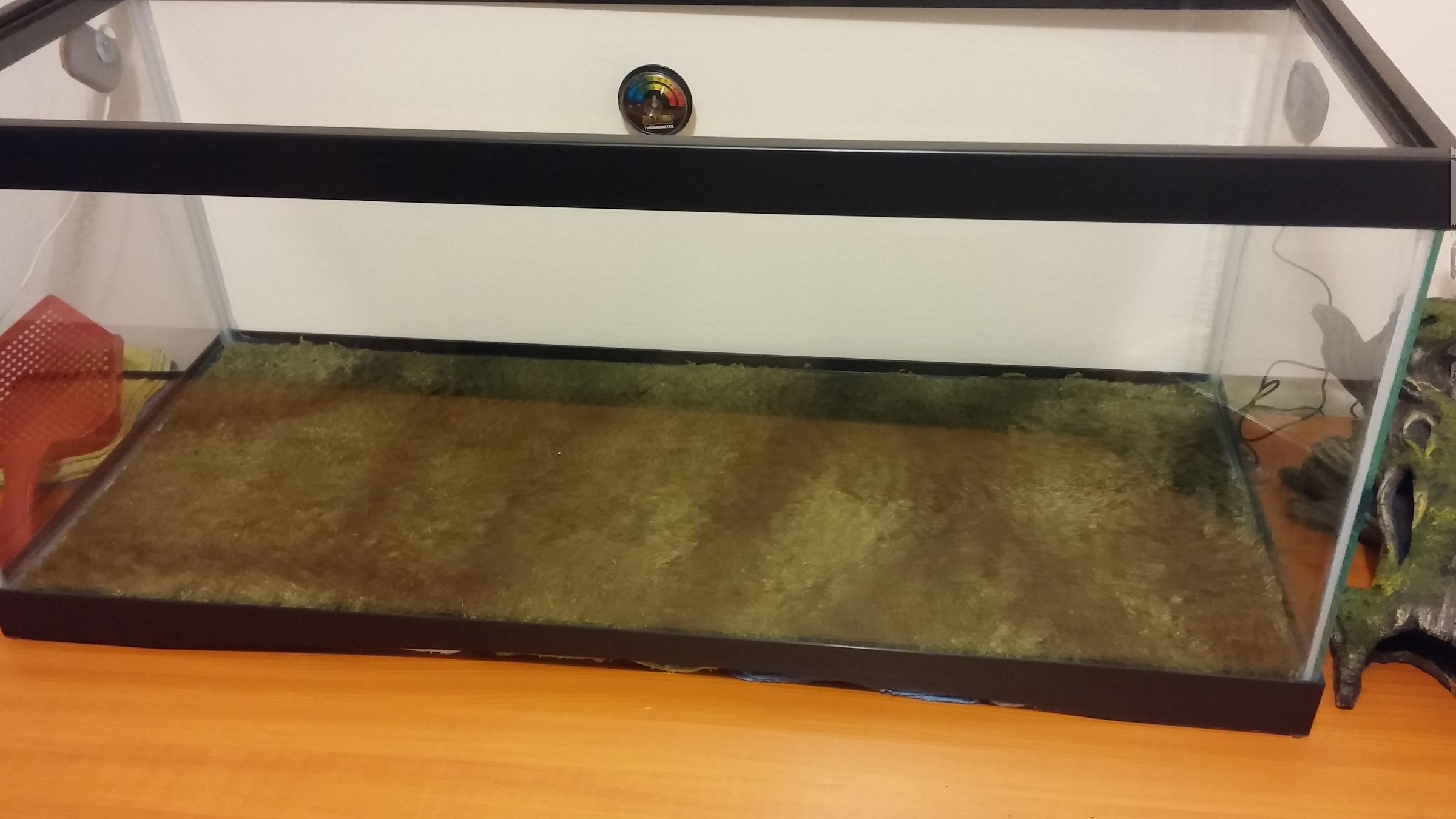 How to Set Up a Reptile Terrarium : 8 Steps (with Pictures) - Instructables