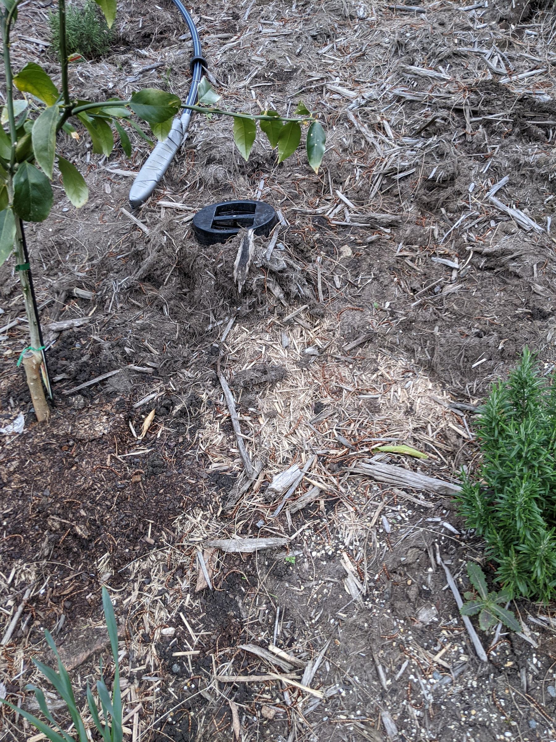 In-ground Worm Farm : 8 Steps (with Pictures) - Instructables