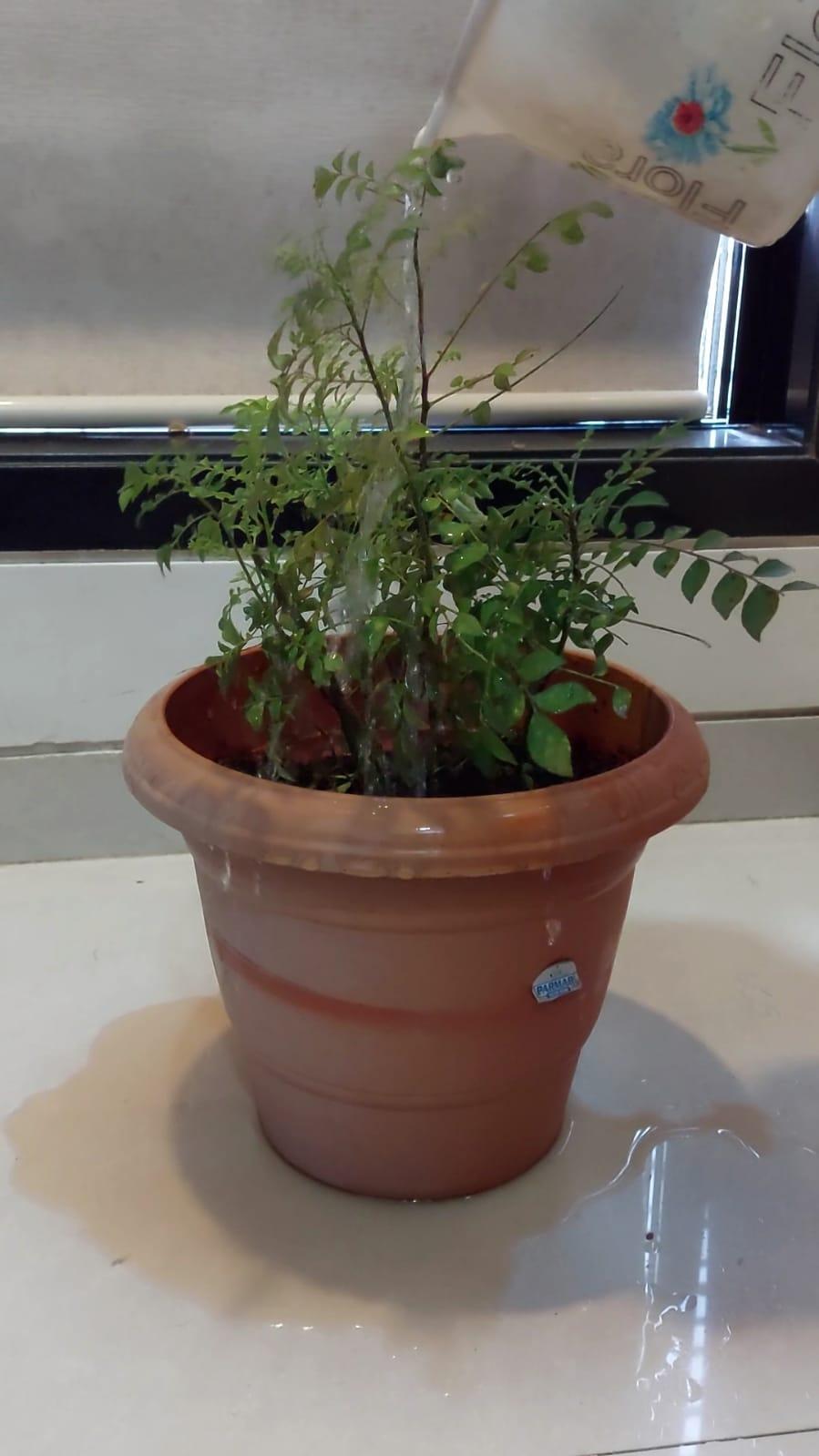 The Dripping Flower Pot : 9 Steps - Instructables