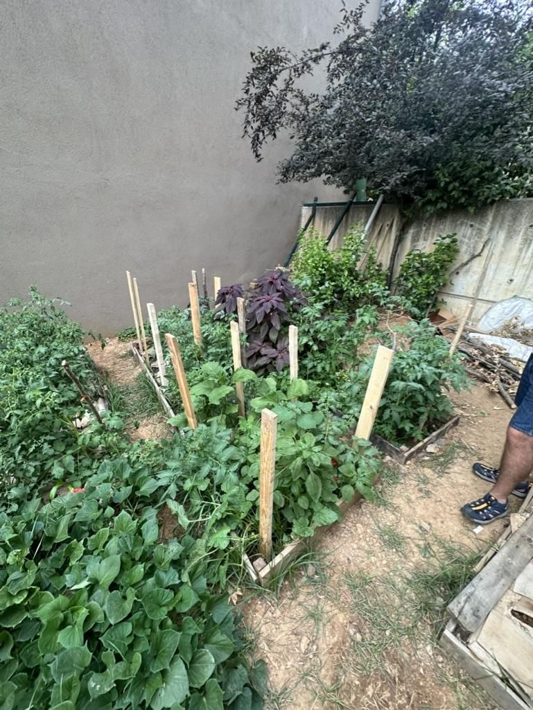 Plant Support Stakes : 4 Steps - Instructables