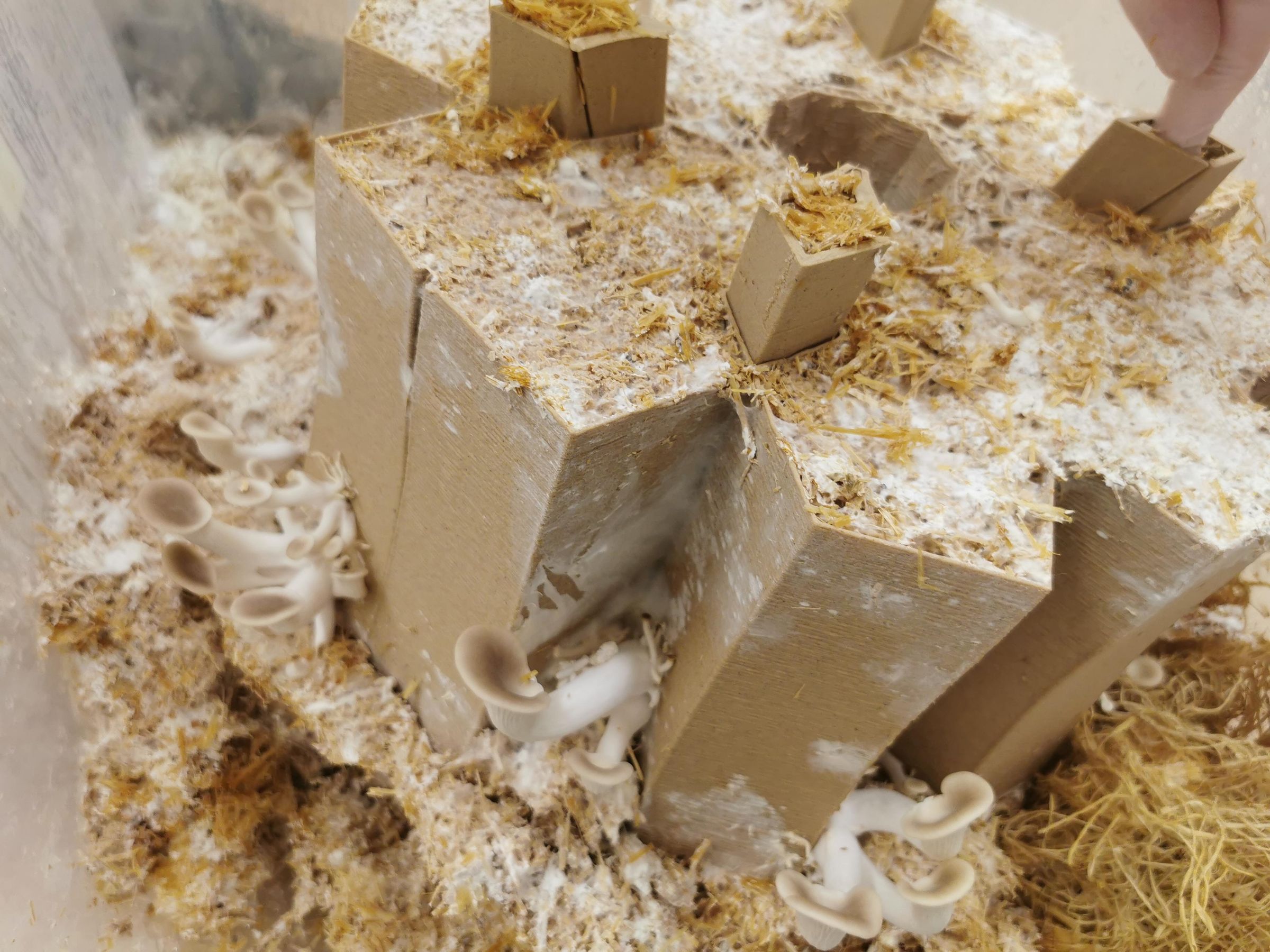 3D Printed and Mycelium Grown Beehives : 9 Steps (with Pictures ...