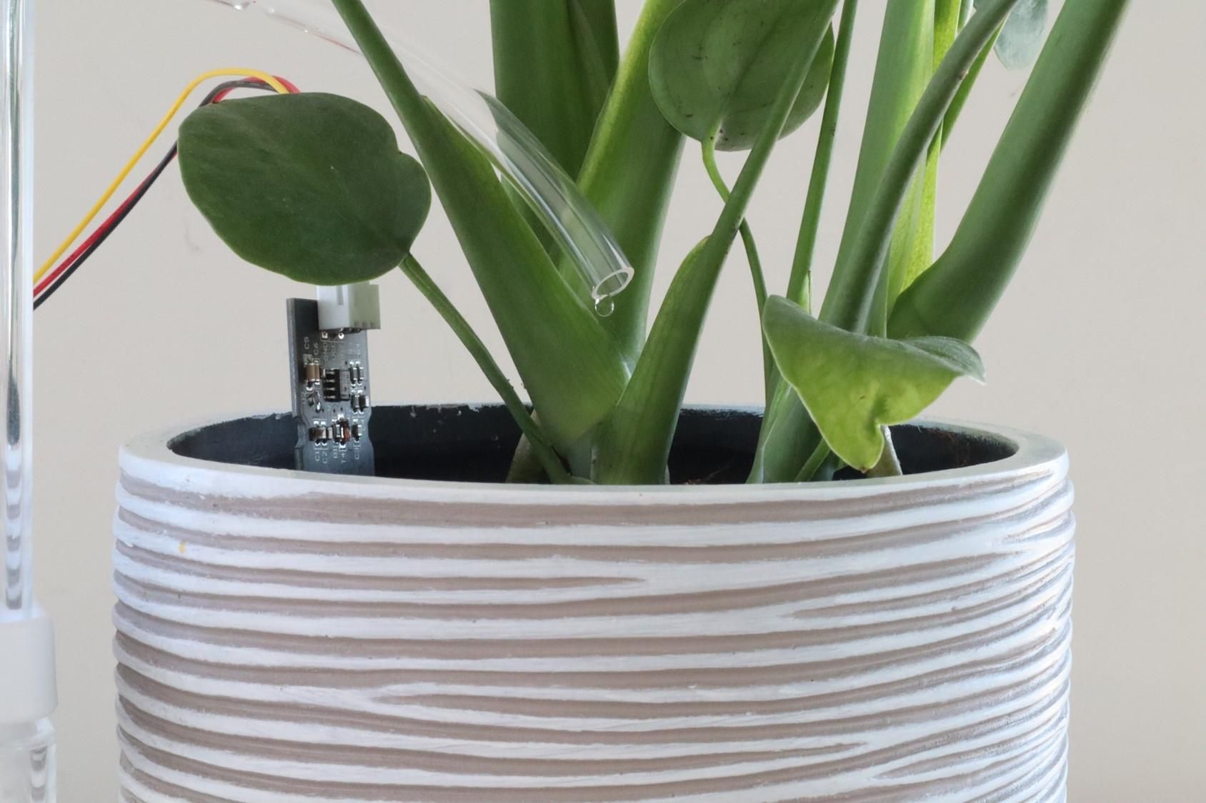 Automatic Plant Watering System Using a Micro:bit : 8 Steps (with ...