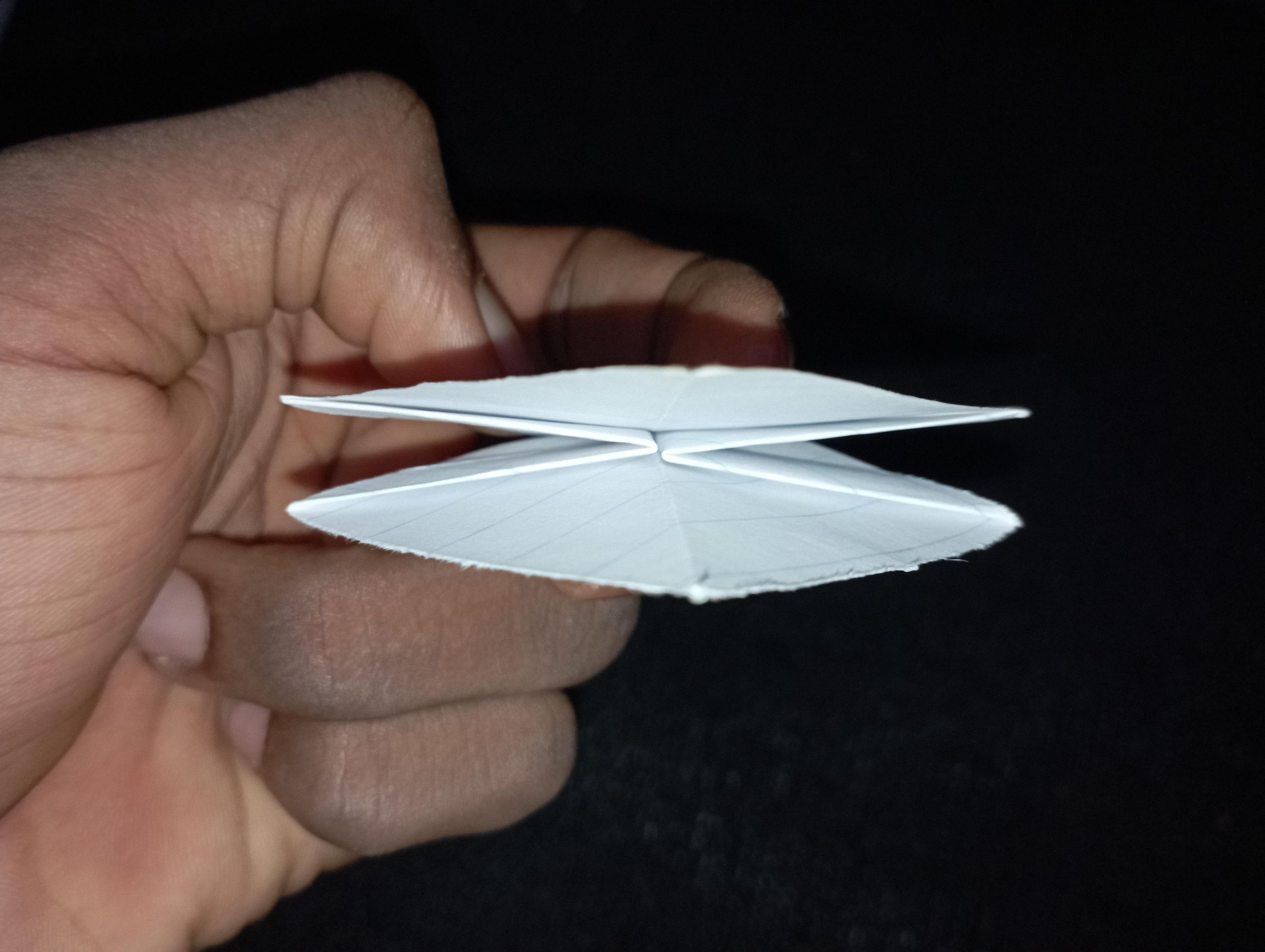 Origami: Paper Seedling Tray. : 10 Steps (with Pictures) - Instructables