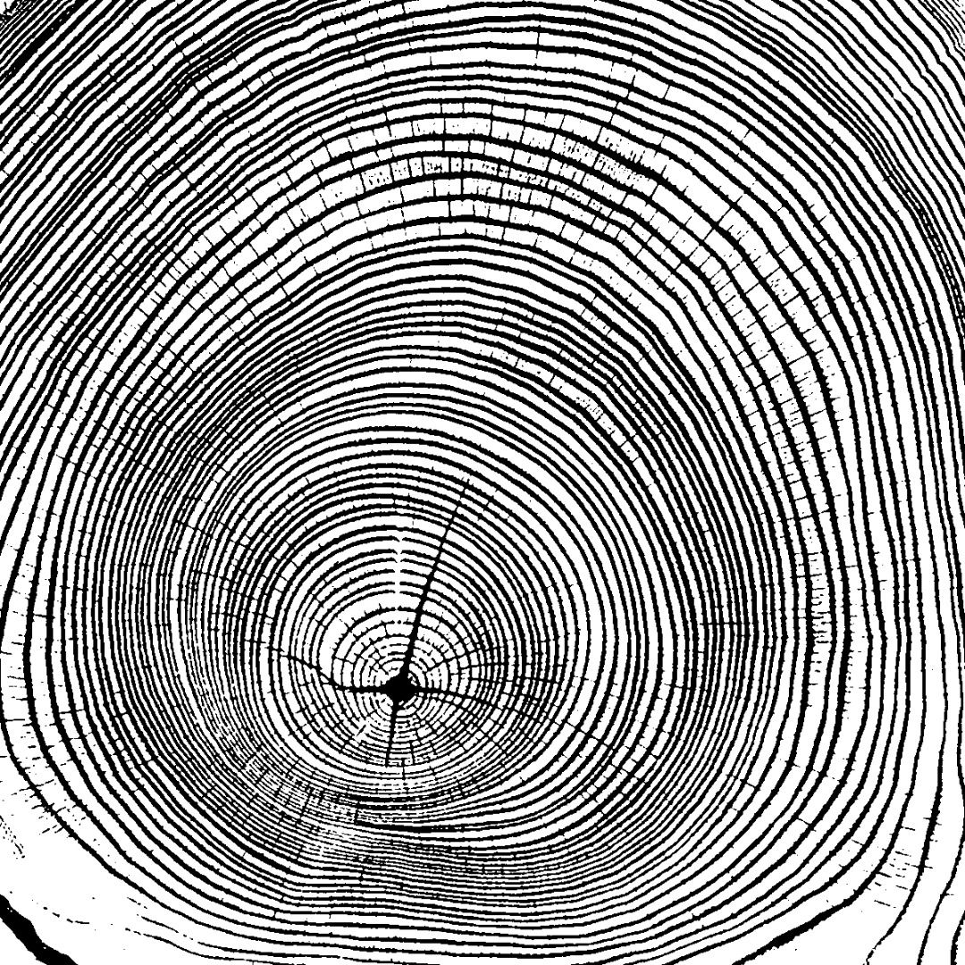 Lasercut Tree Ring Coasters : 3 Steps (with Pictures) - Instructables