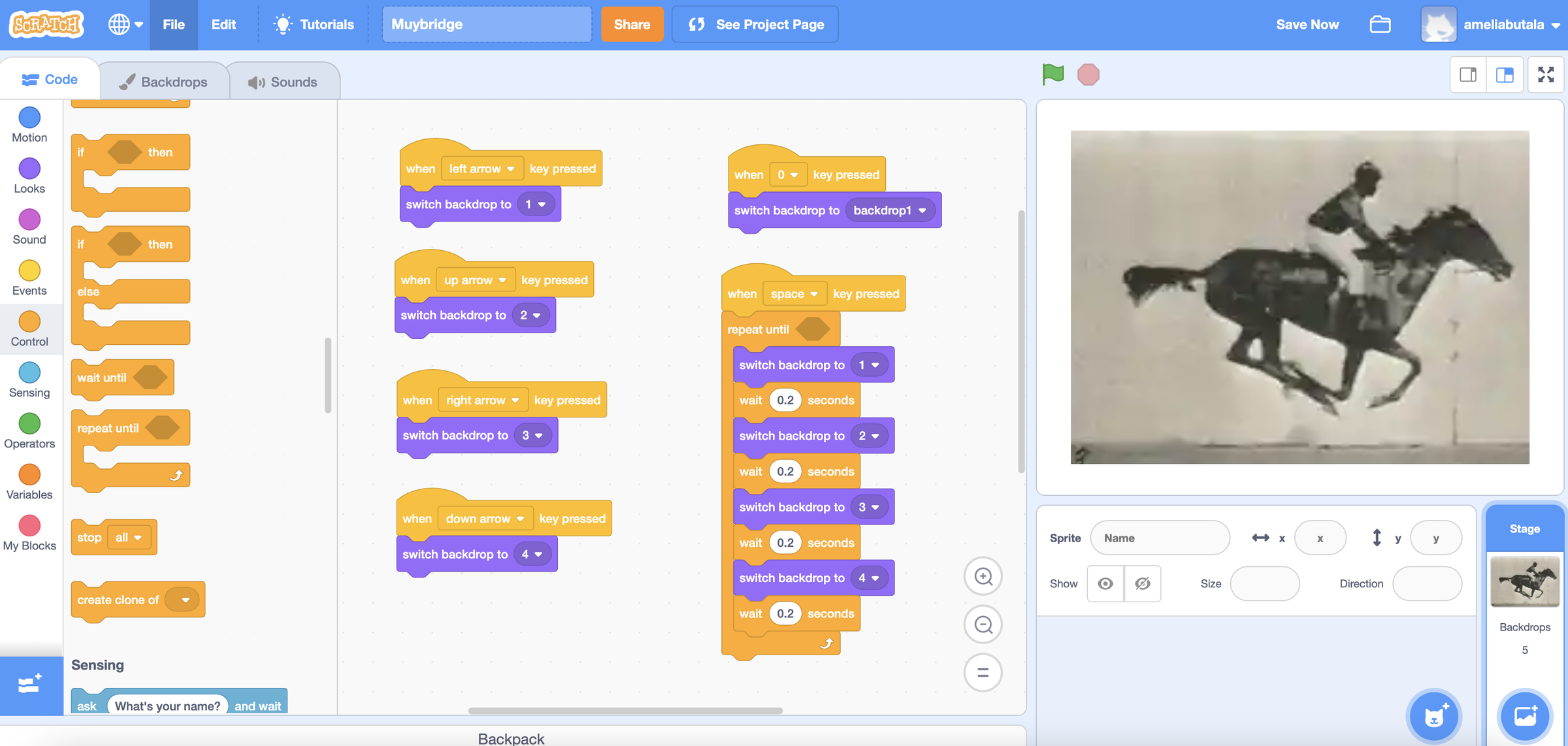 Interactive Model of the Horse in Motion : 8 Steps (with Pictures ...