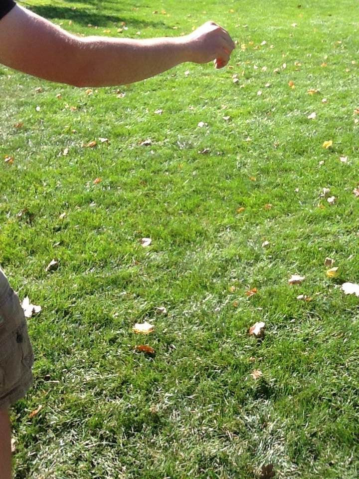 How to Build and Throw Your Own Boomerang : 11 Steps - Instructables