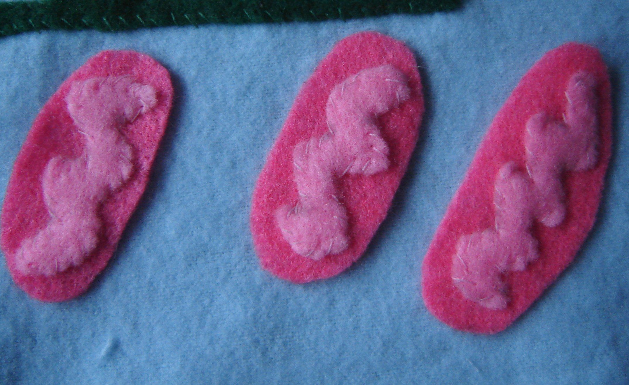 Plush Cell Model : 13 Steps (with Pictures) - Instructables