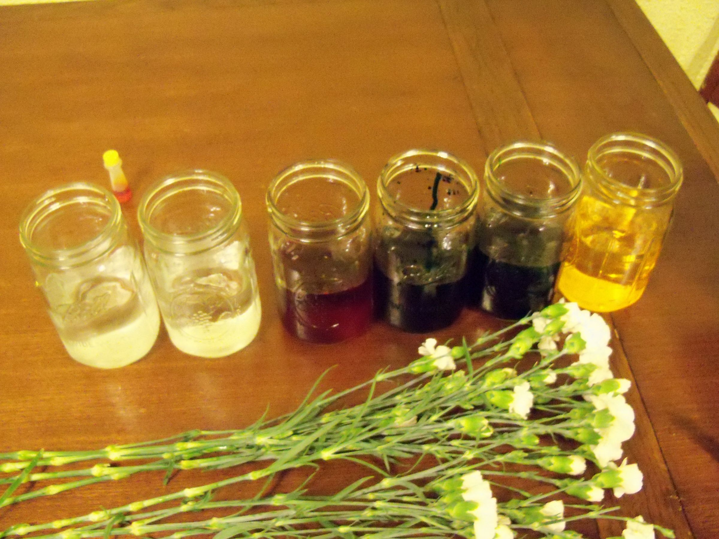 Make Multicolored Carnations . . . With Science! : 5 Steps (with ...
