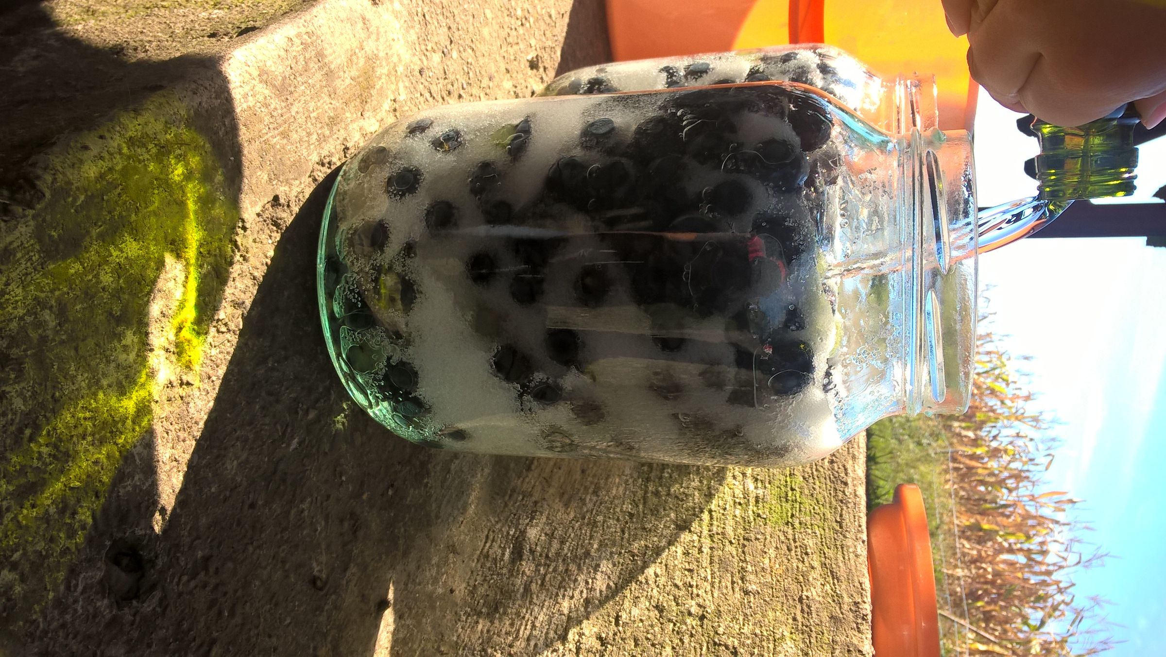 Grape Liqueur - How to Make Grape Liqueur : 6 Steps (with Pictures ...